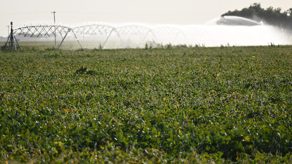 Optimize Those Last Few Irrigations | CropWatch | Nebraska
