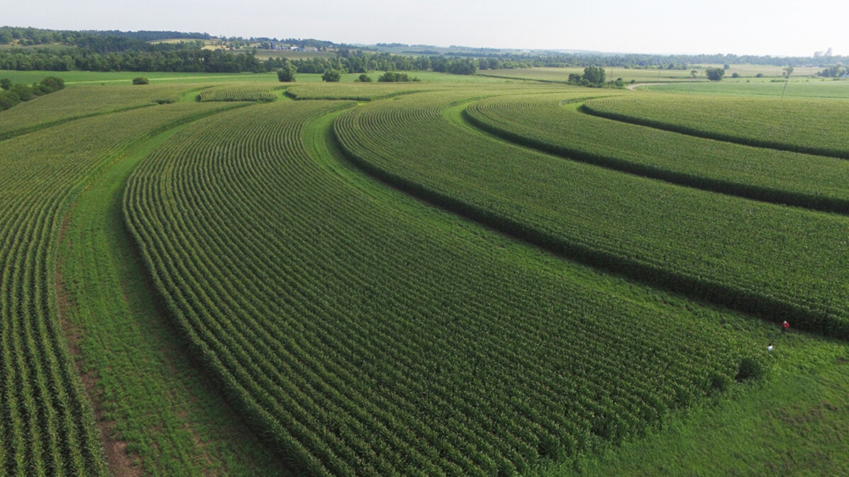 Improving Your Bottomline: Benefits of Prairie Strips Field Day on Sept ...