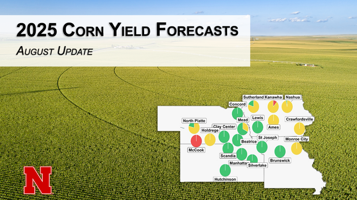 2025 Corn Yield Forecasts as of Aug. 26 | CropWatch | Nebraska
