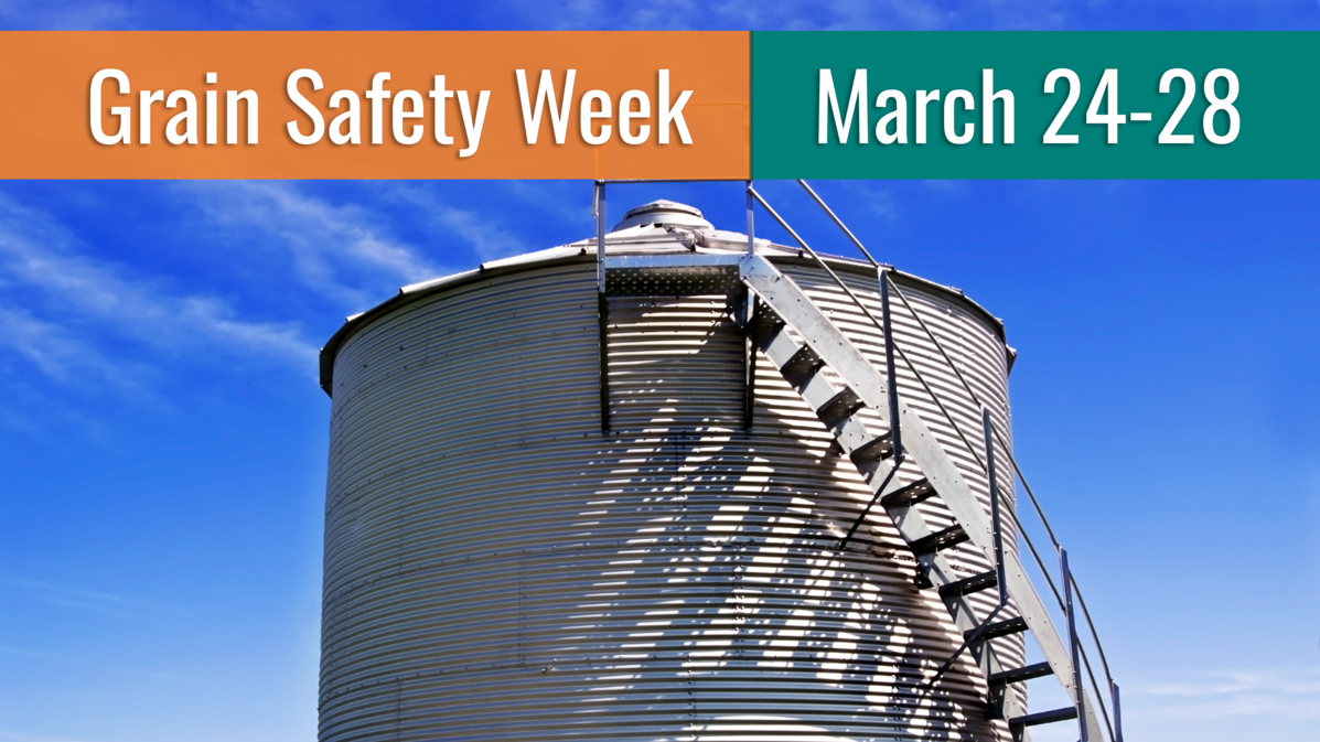 Grain Safety: Essential Tips to Prevent Accidents and Protect Lives ...