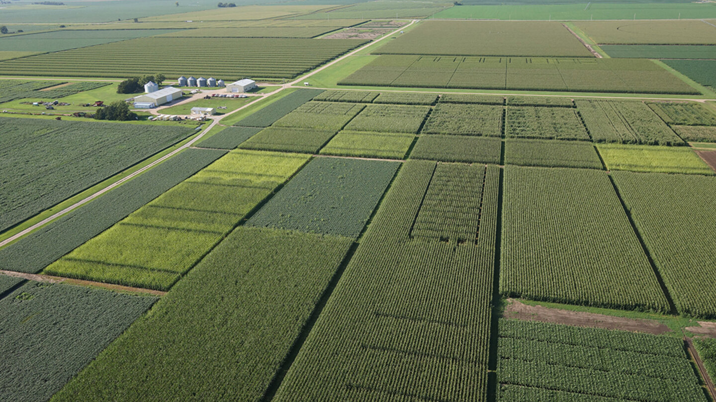 Nebraska 2024 Annual Crop Production Summary | CropWatch | Nebraska