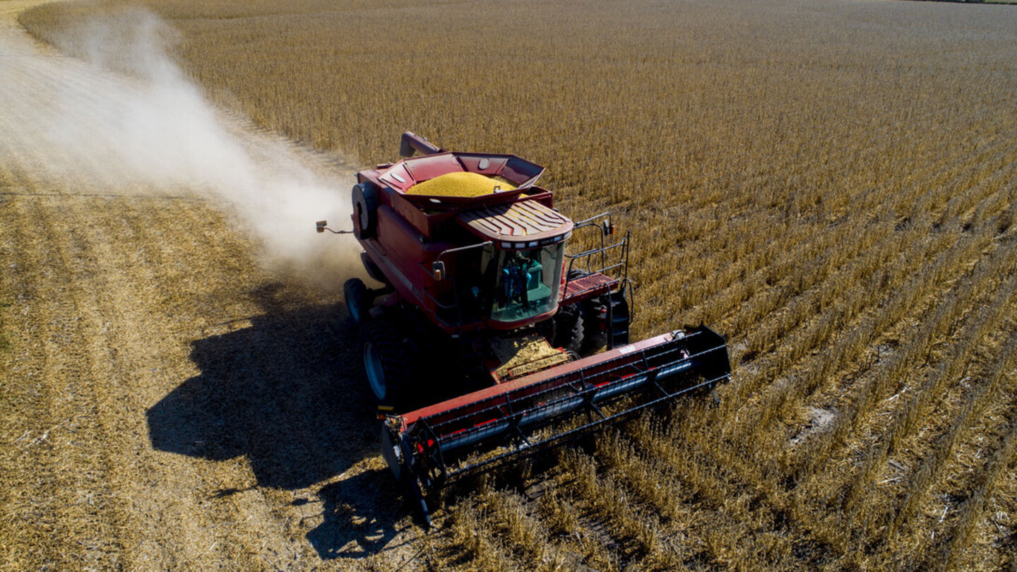 Nebraska 2024 Annual Crop Production Summary | CropWatch | Nebraska