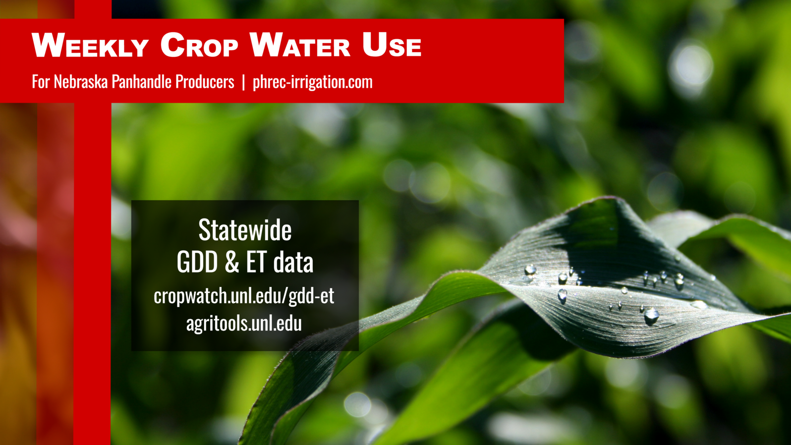 Crop Water Use for July 22-29, 2025 | CropWatch | Nebraska