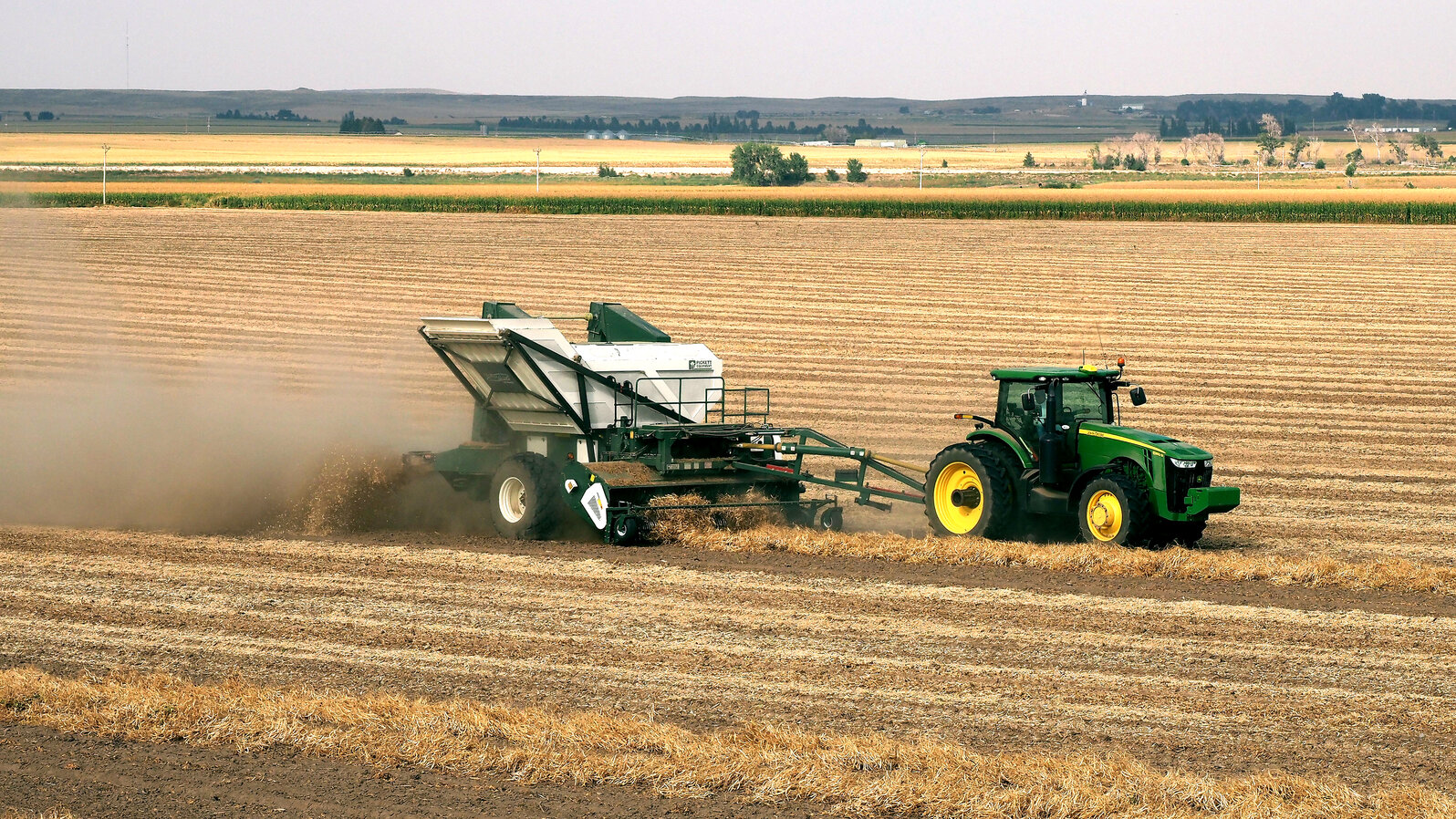 Dry Beans | CropWatch | Nebraska
