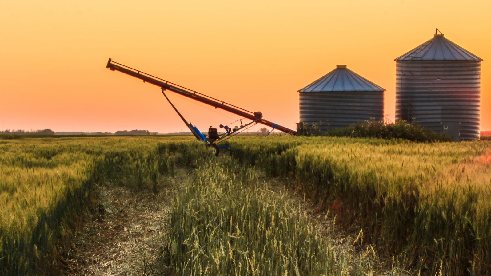 Strengthening Nebraska's Agricultural Economy | CropWatch | Nebraska