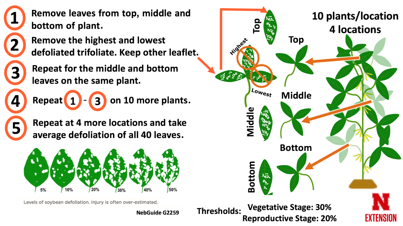 Estimating Soybean Leaf Defoliation | CropWatch | Nebraska