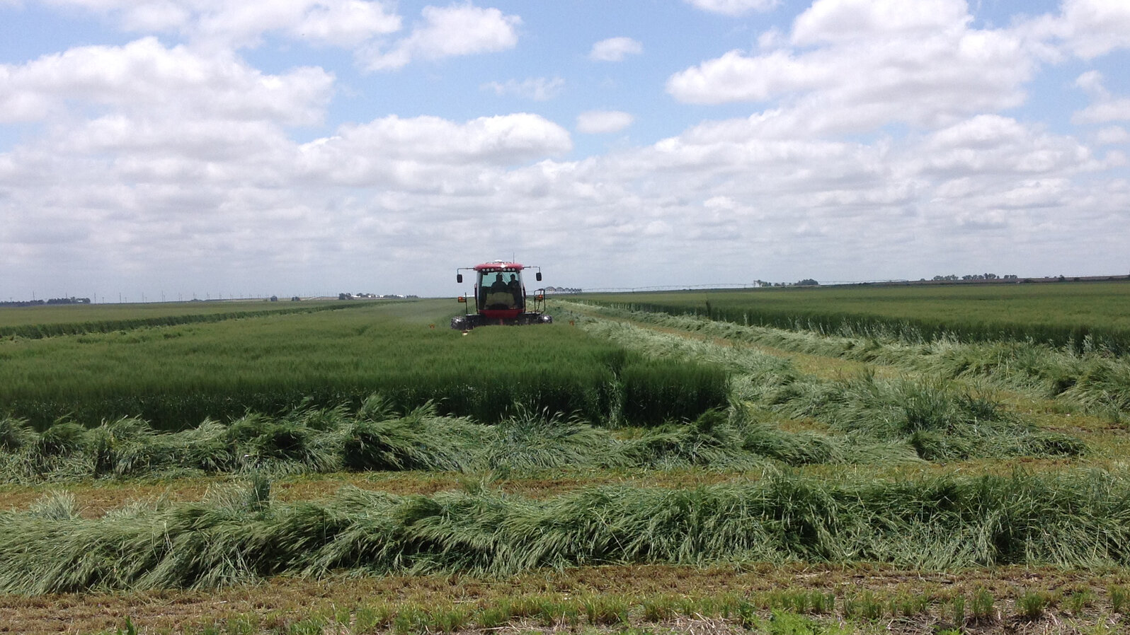 Estimating a Fair Value for Standing Forage | CropWatch | Nebraska