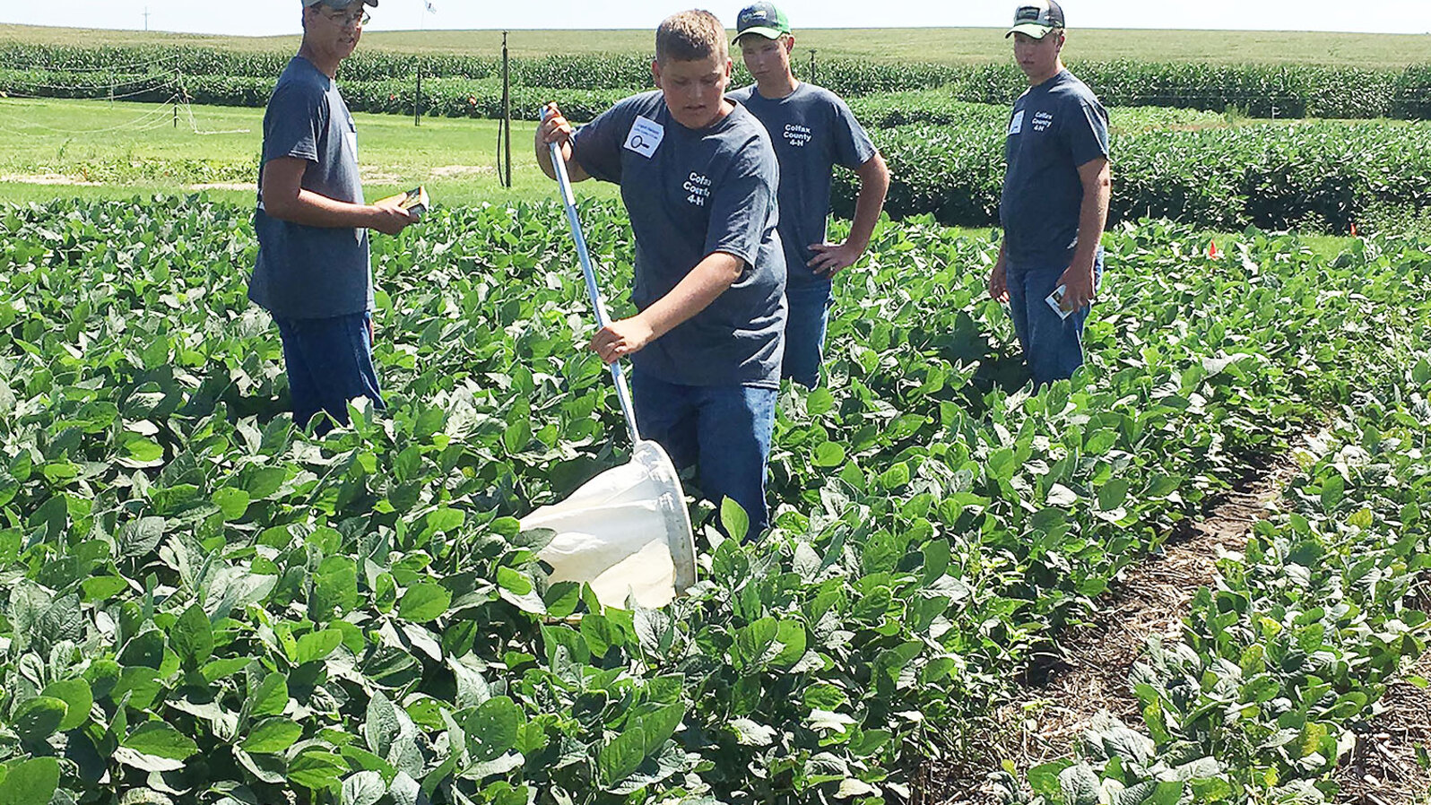 Two Crop Judging Teams Move on to Regionals | CropWatch | Nebraska