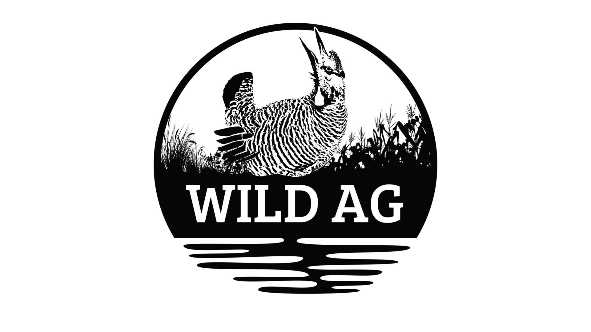 Husker Scientist, USDA Collaborate to Create Web-Based App to Optimize Soil Sampling | CropWatch ...