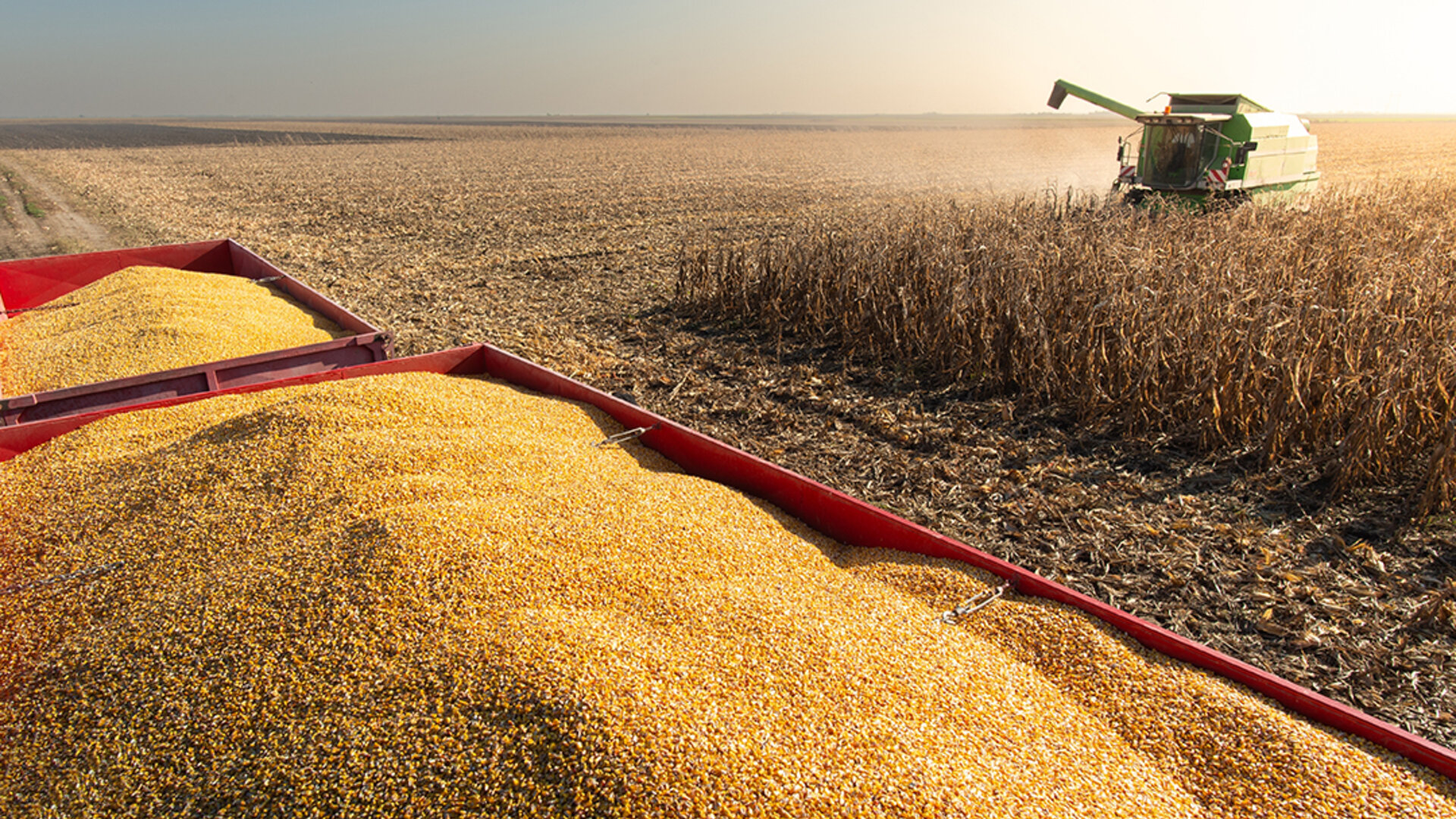 Crop Progress: Nebraska Producers Push Through Late-Season Harvest ...