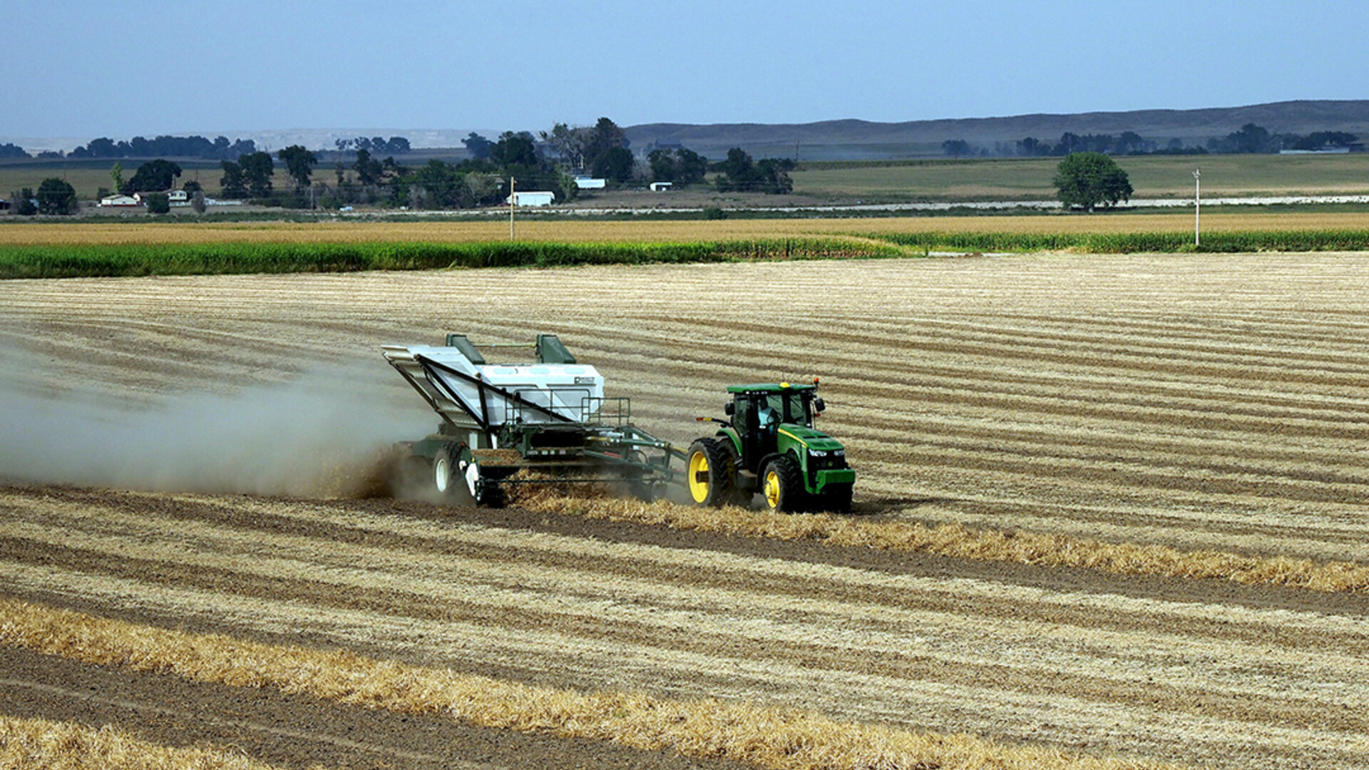Southern Rust | CropWatch | Nebraska