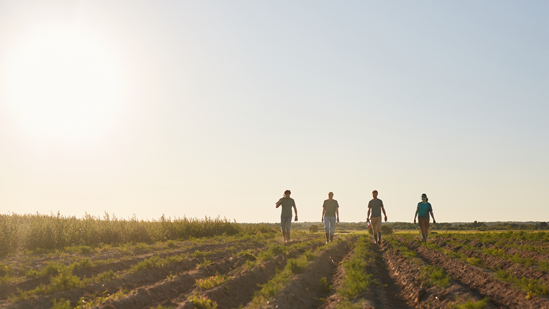 USDA to Open General and Continuous CRP Enrollment for 2025 | CropWatch ...