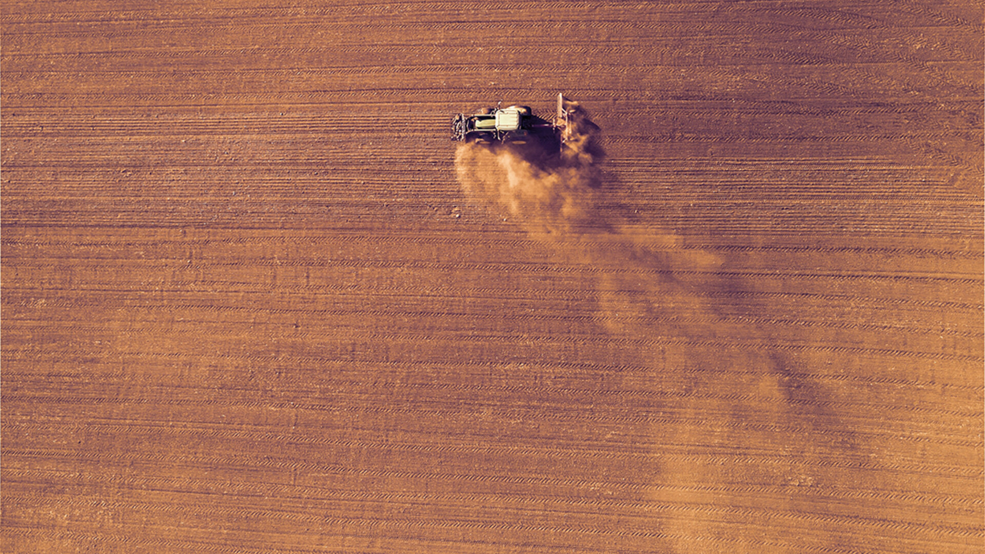 Nebraska 2024 Annual Crop Production Summary | CropWatch | Nebraska