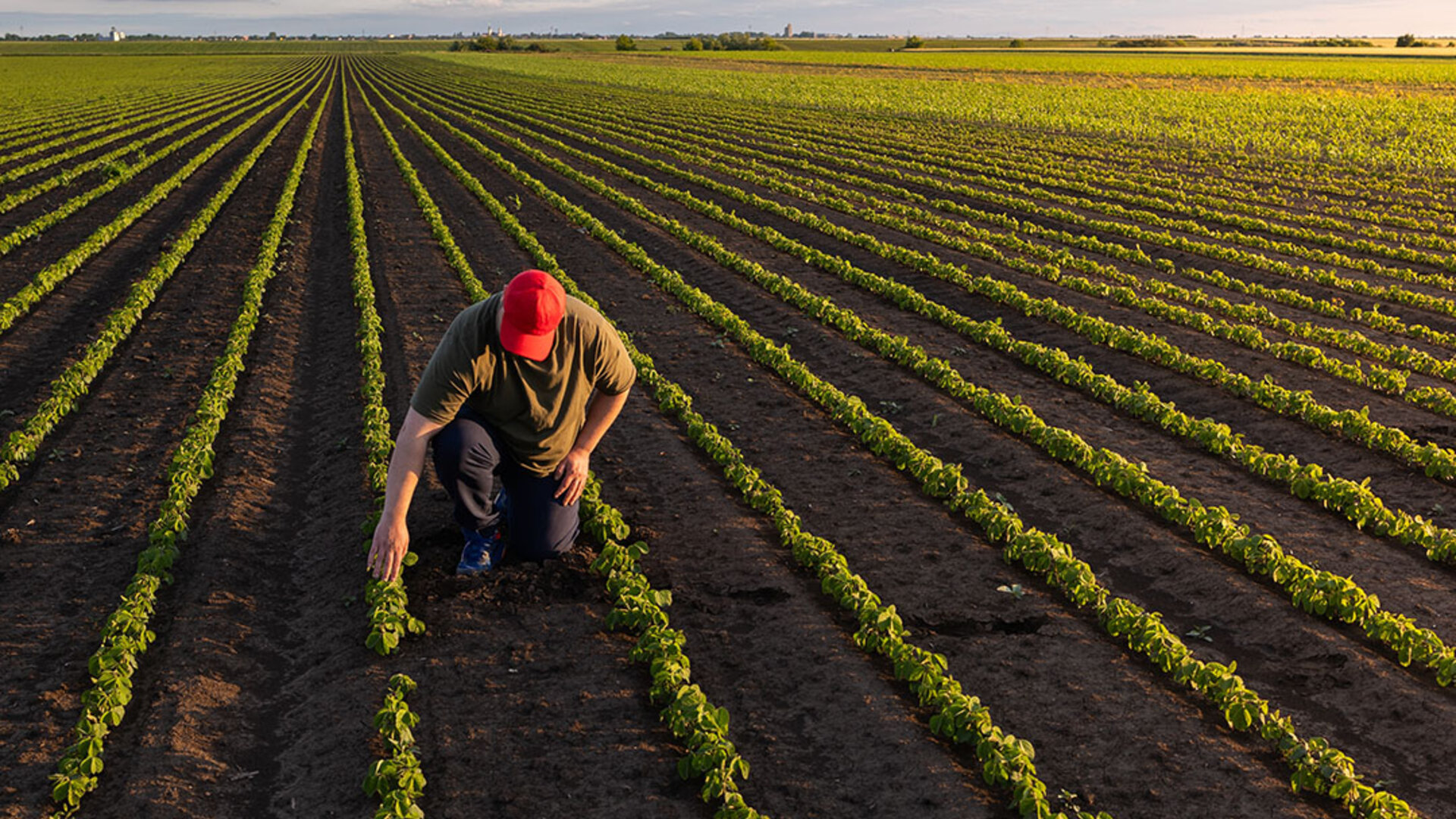USDA NRCS Programs and Details for 2025 | CropWatch | Nebraska