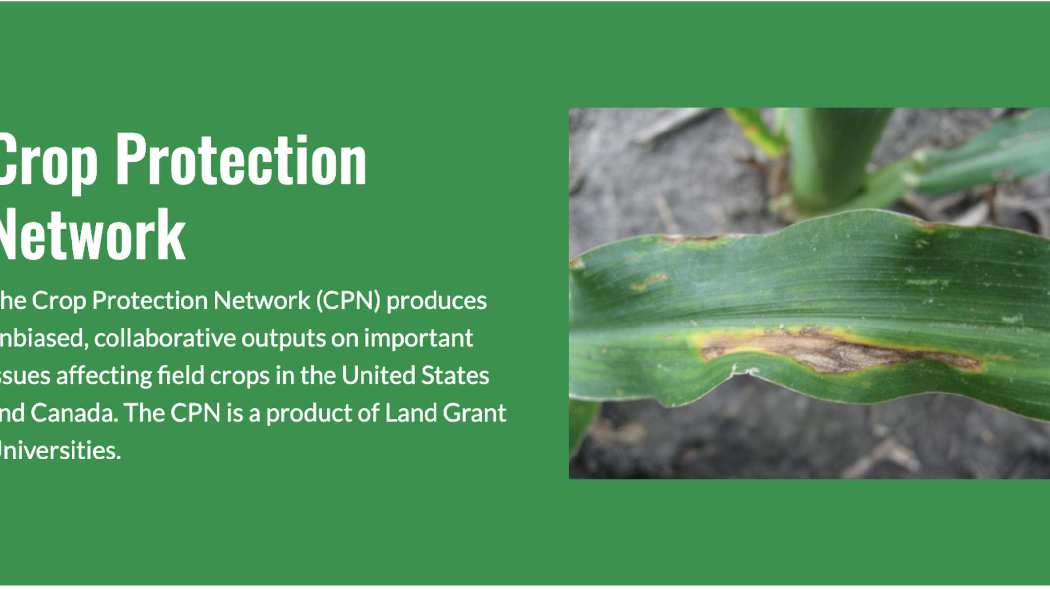 Crop Protection Network Scouting School | CropWatch | Nebraska