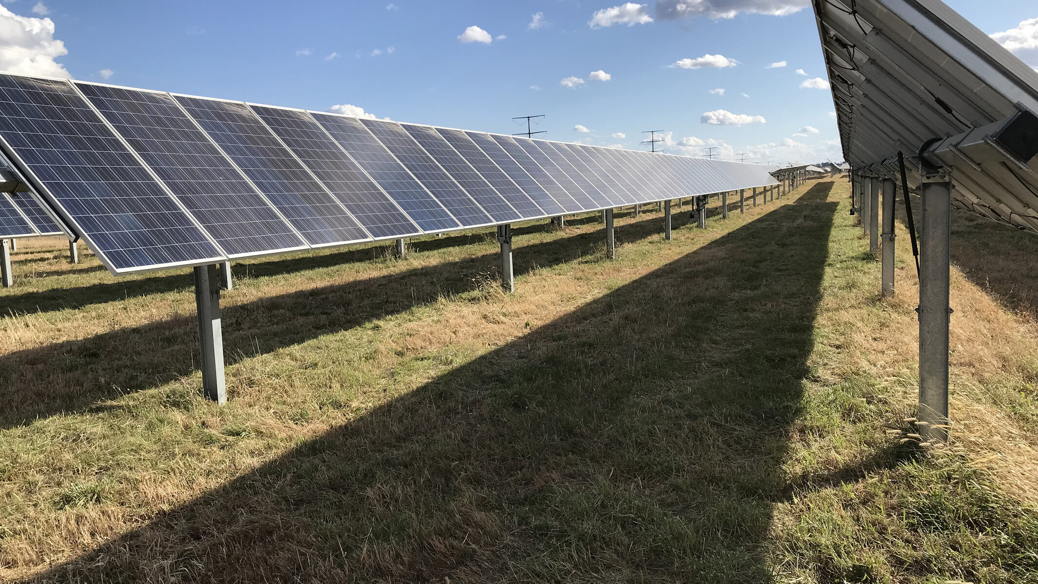 Considerations for Leasing Land for Solar Development | CropWatch ...