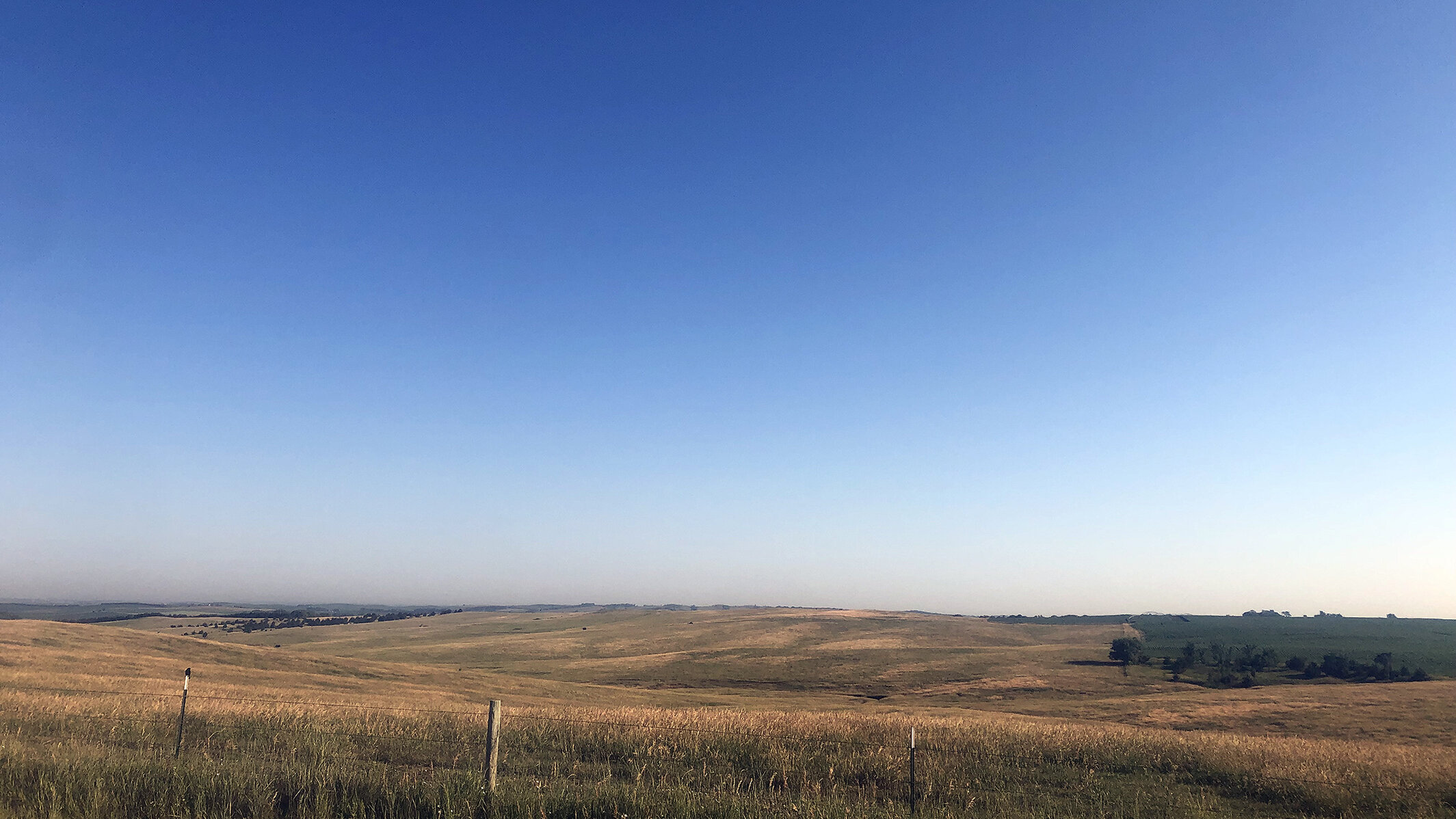 Pasture and Forage Minute: Pasture Rental Rates, Cool-season Grass ...