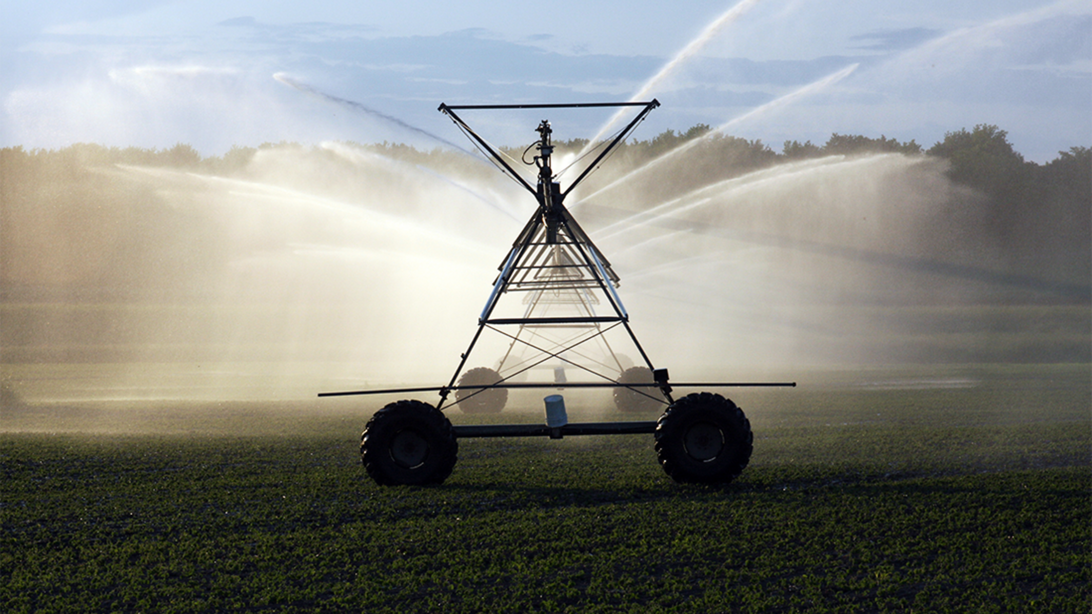 Early Season Irrigation During Drought | CropWatch | Nebraska