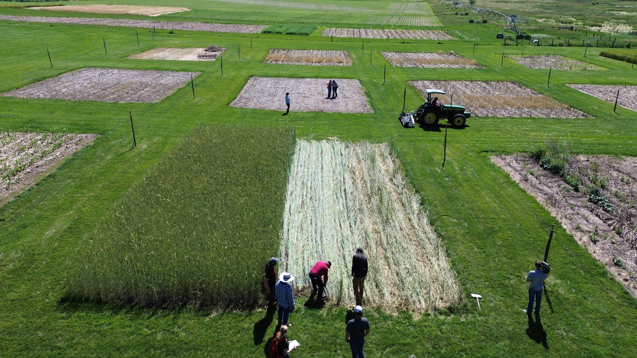 Crops | CropWatch | Nebraska