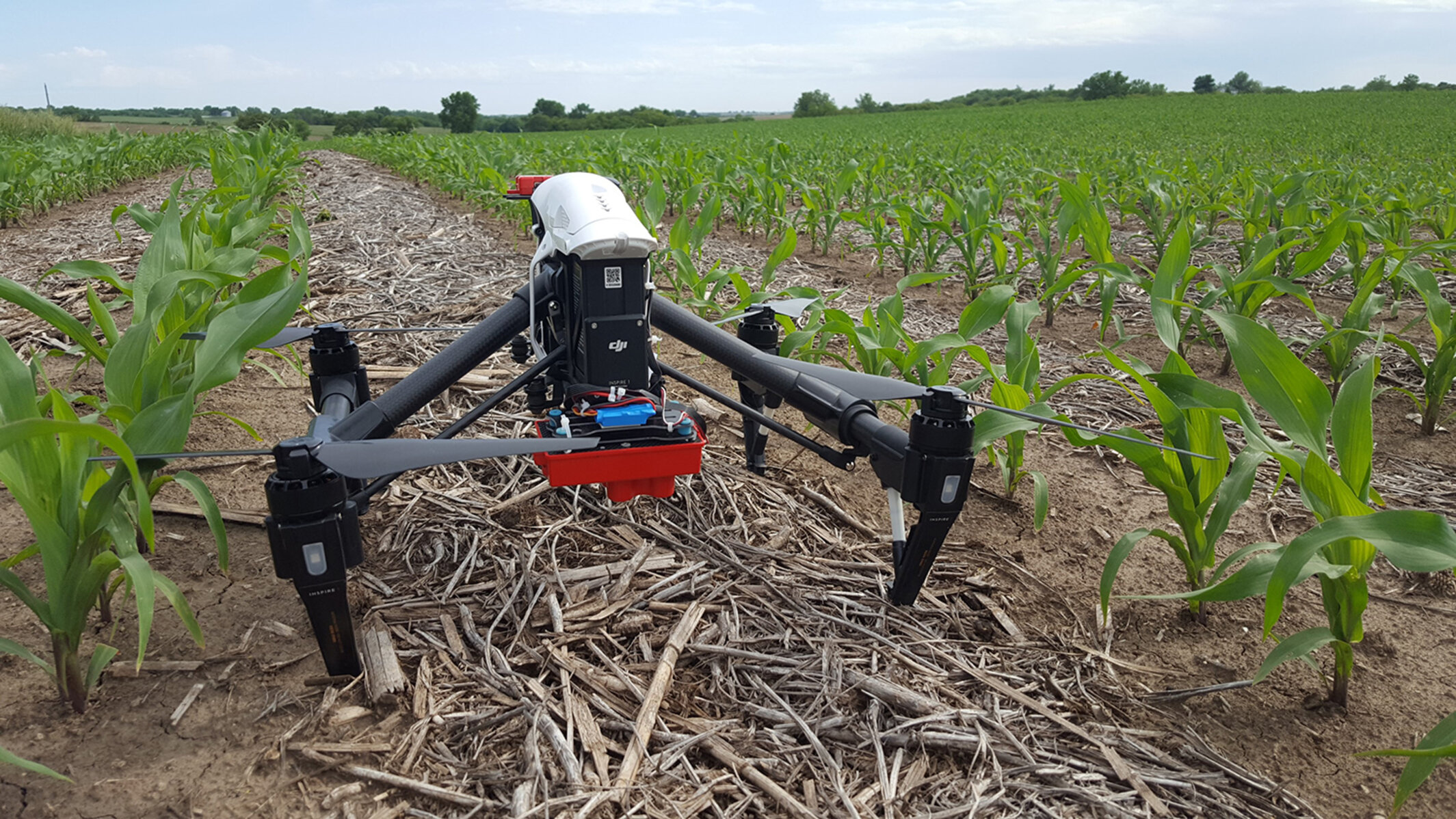 SARE Grant Aids Farmer in Using Drones to Test N Applications ...