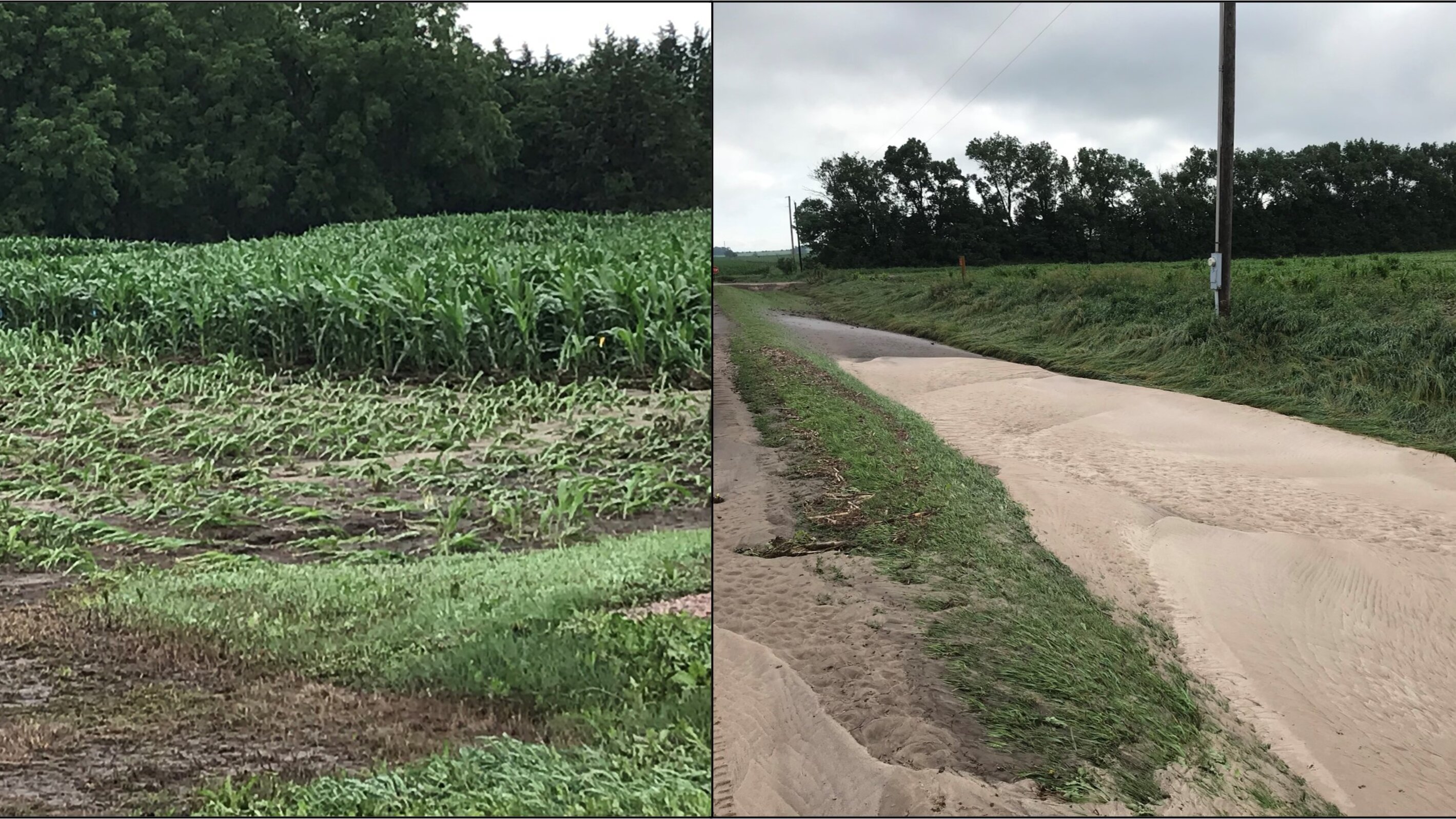 Crop Residue Removal: Its Effect on Soil and Water Quality | CropWatch ...