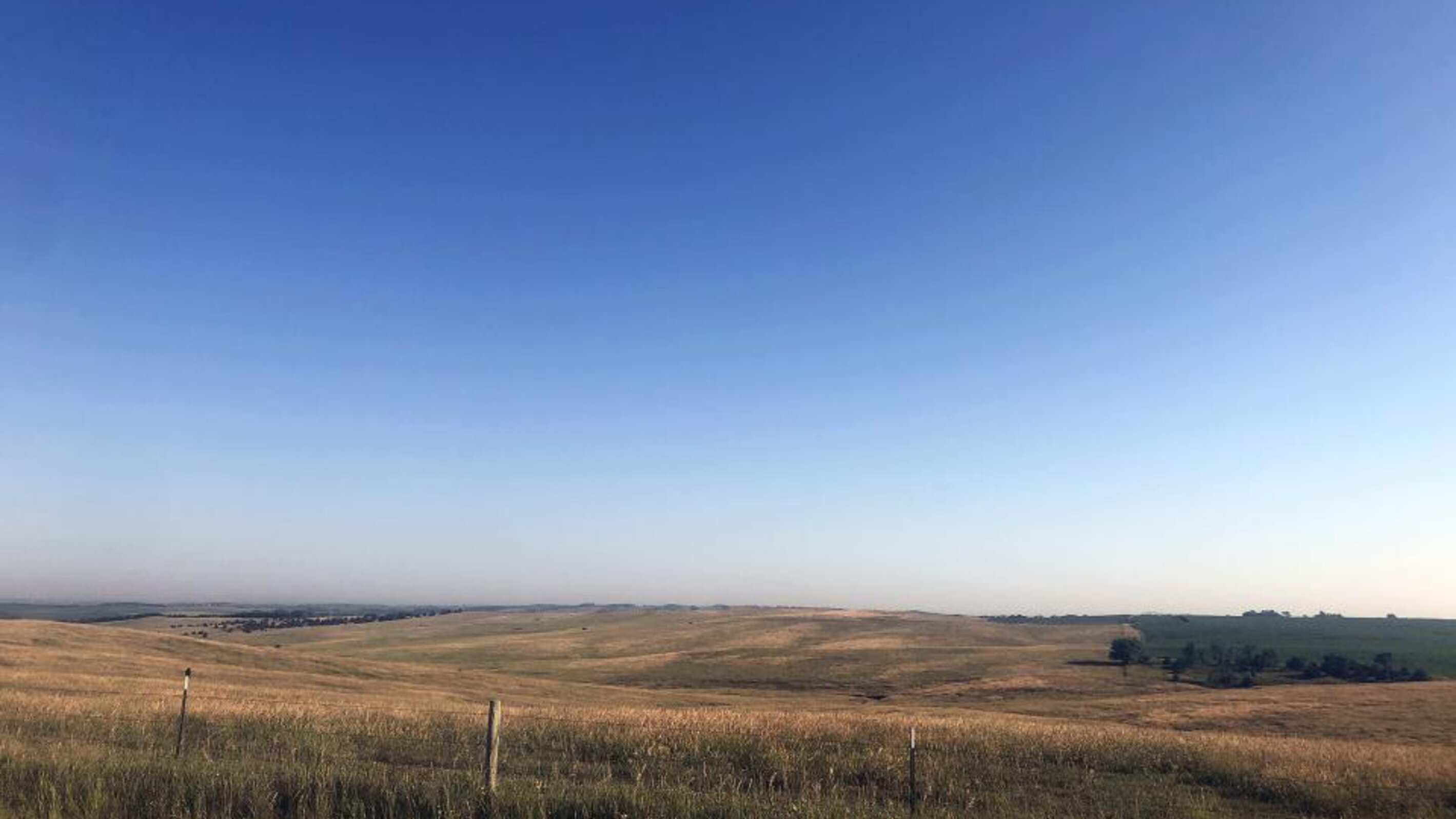 Pasture and Forage Minute: Winter Survival in Alfalfa, Fertilizing Cool ...