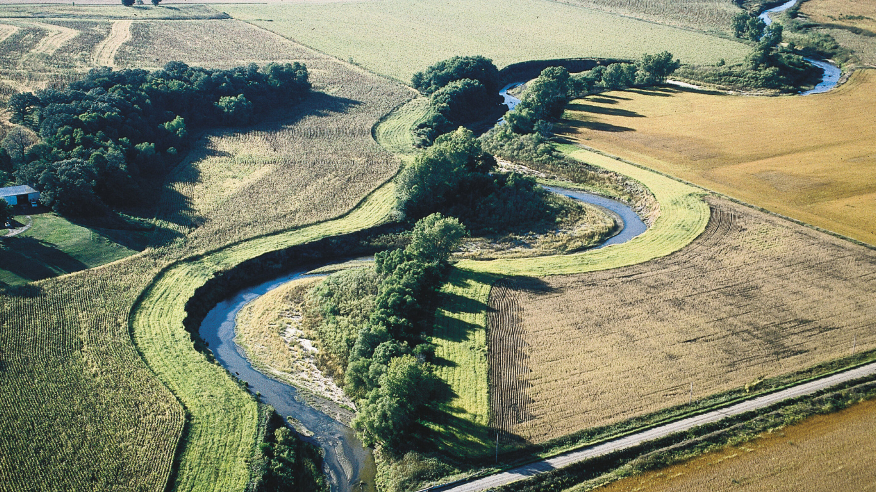 NDA Funding Available for Buffer Strips | CropWatch | Nebraska