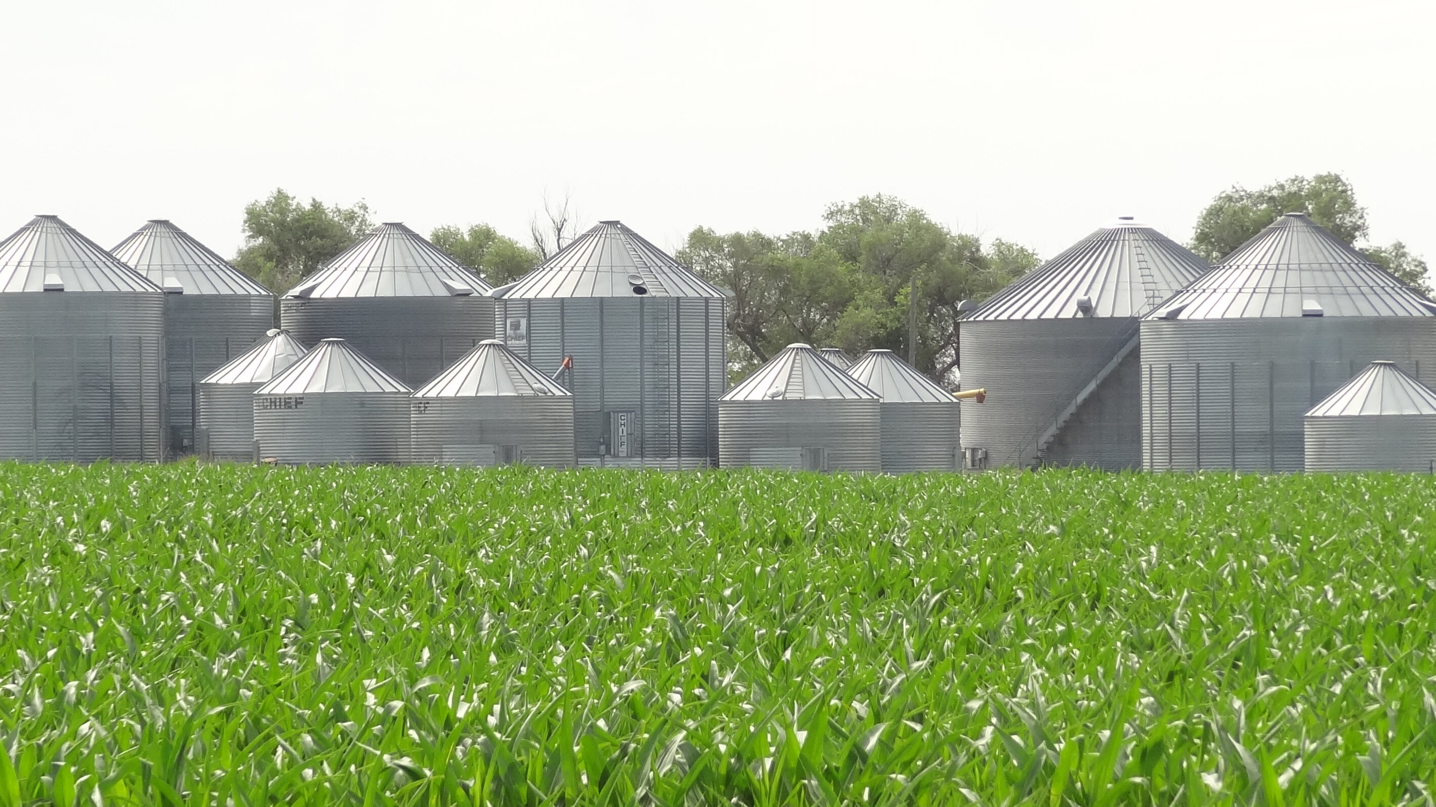 Natural Air Drying of Binned Soybeans | CropWatch | Nebraska