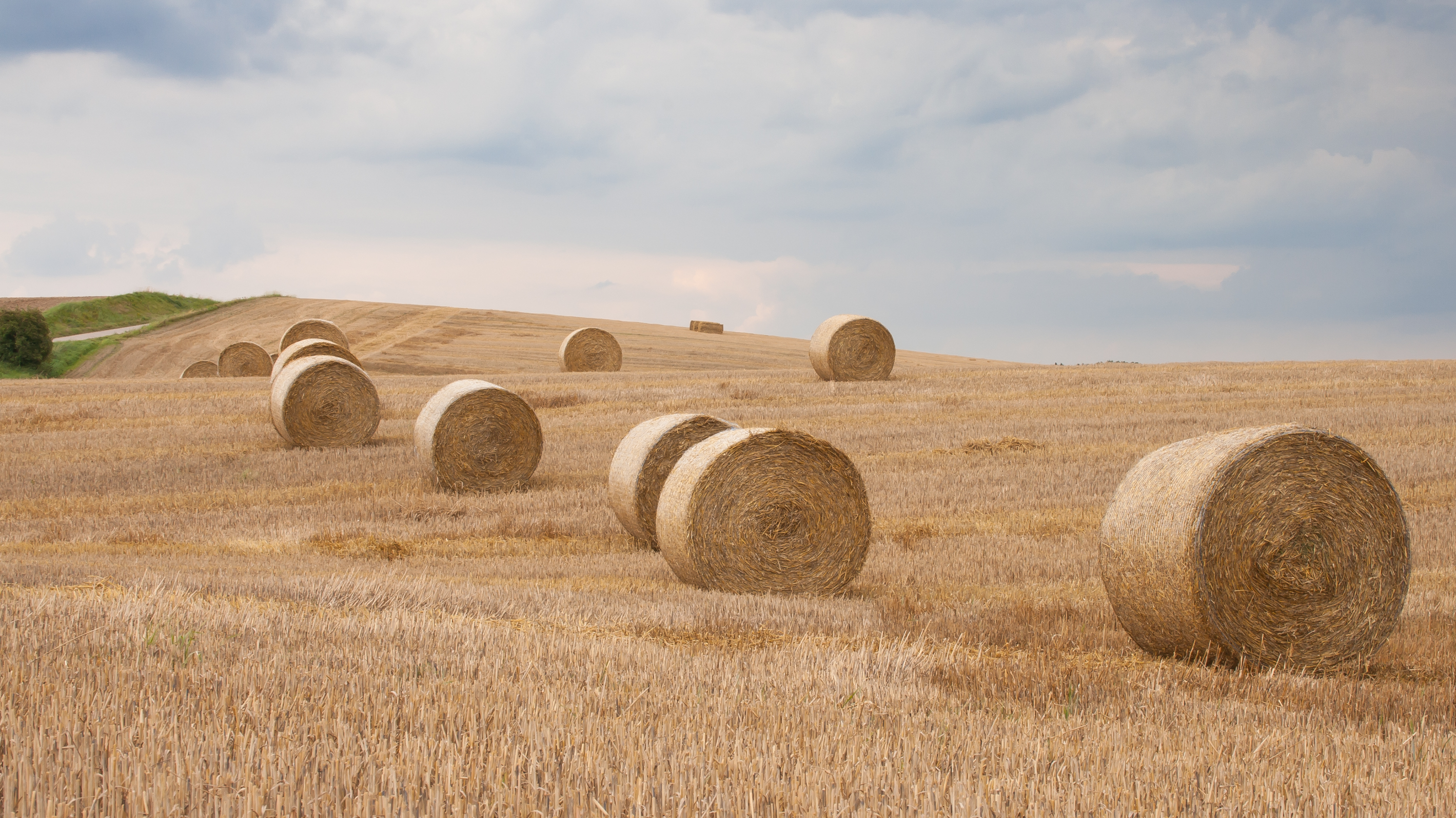 Pasture and Forage Minute: Understanding ADF and NDF Measurements in a ...