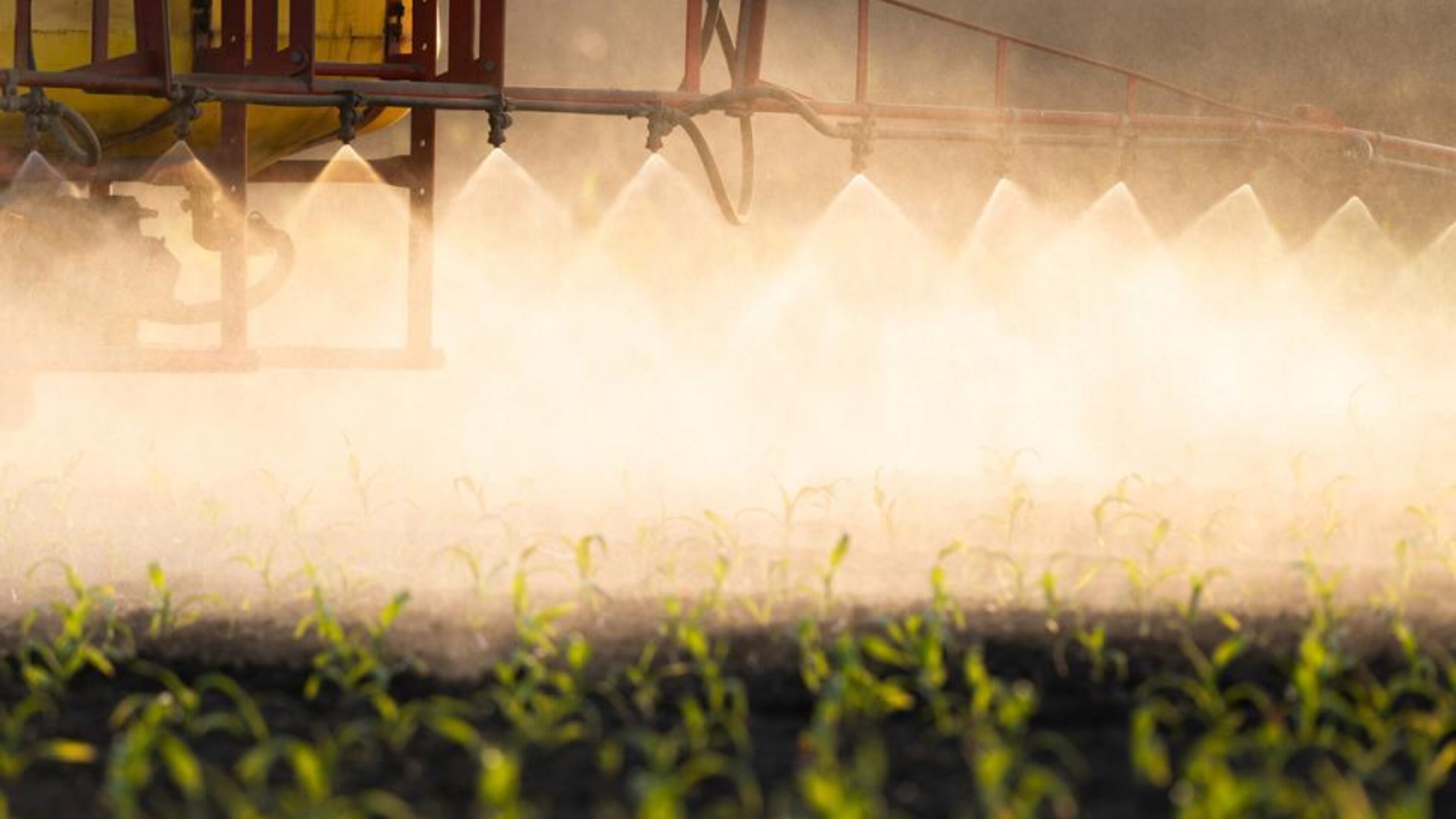 Pesticide Applicator Certification Training in 2025 | CropWatch | Nebraska
