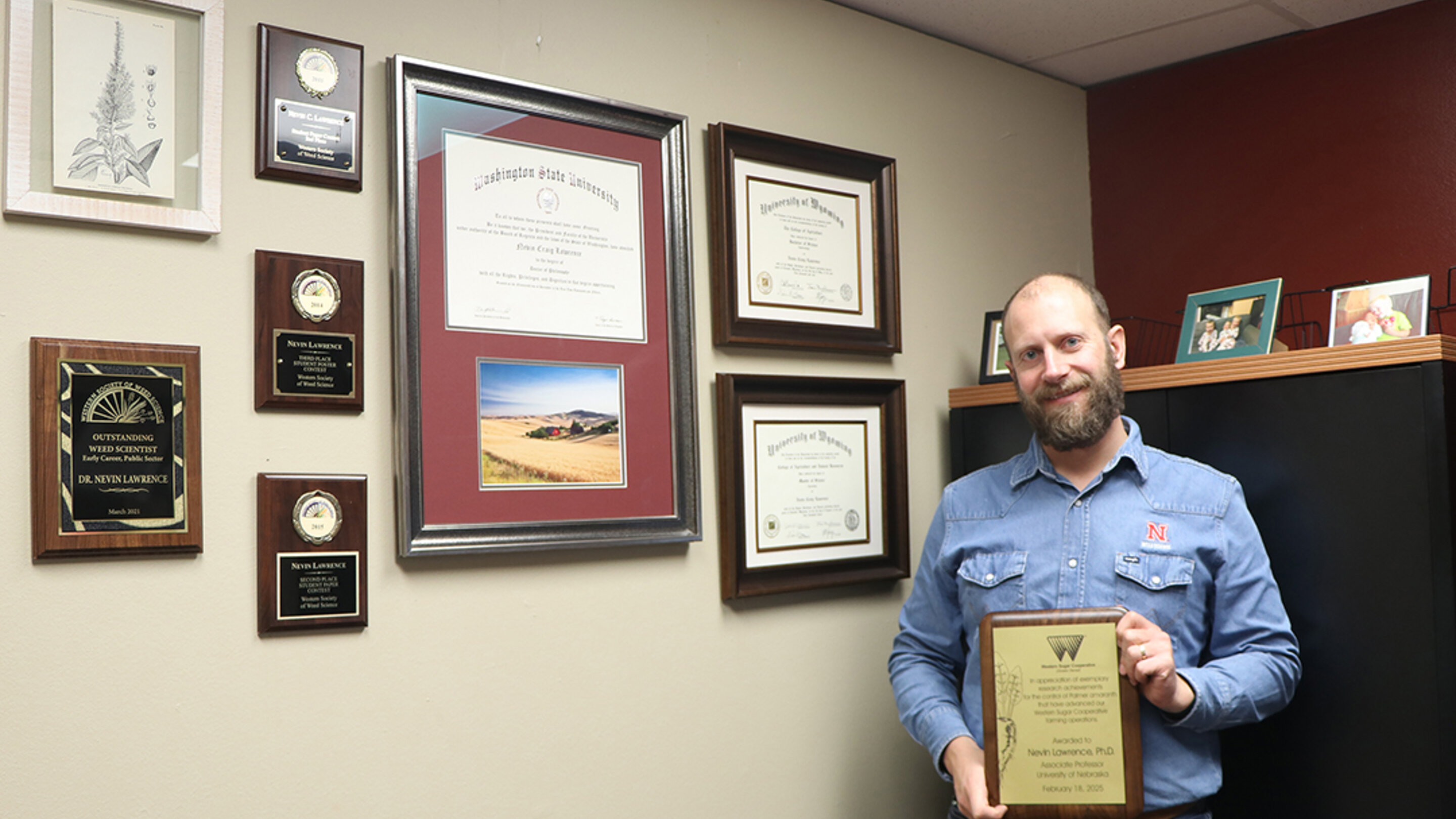 Rhizoctonia Root and Crown Rot | CropWatch | Nebraska