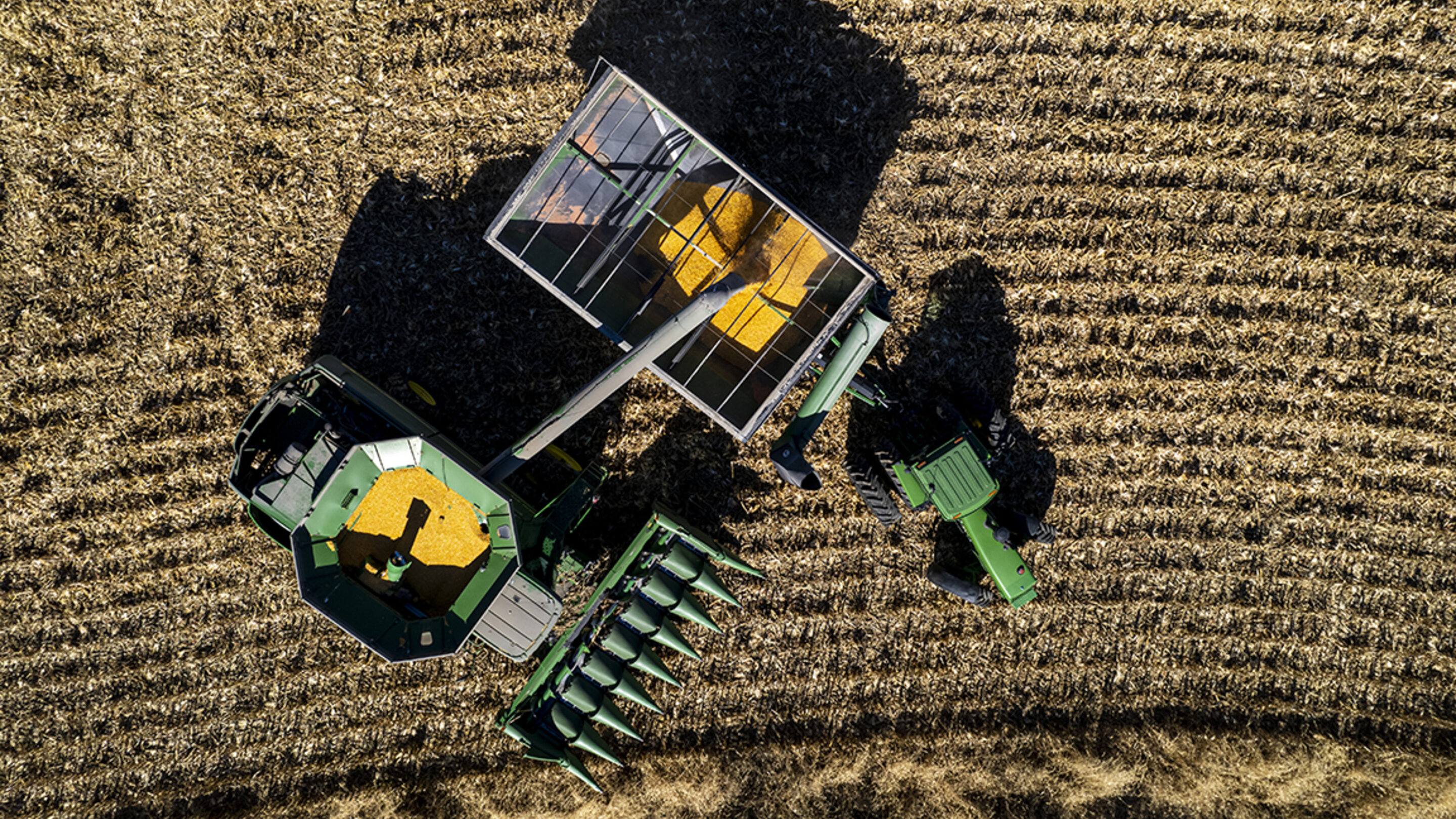 Nebraska 2025 Annual Crop Production Summary | CropWatch | Nebraska