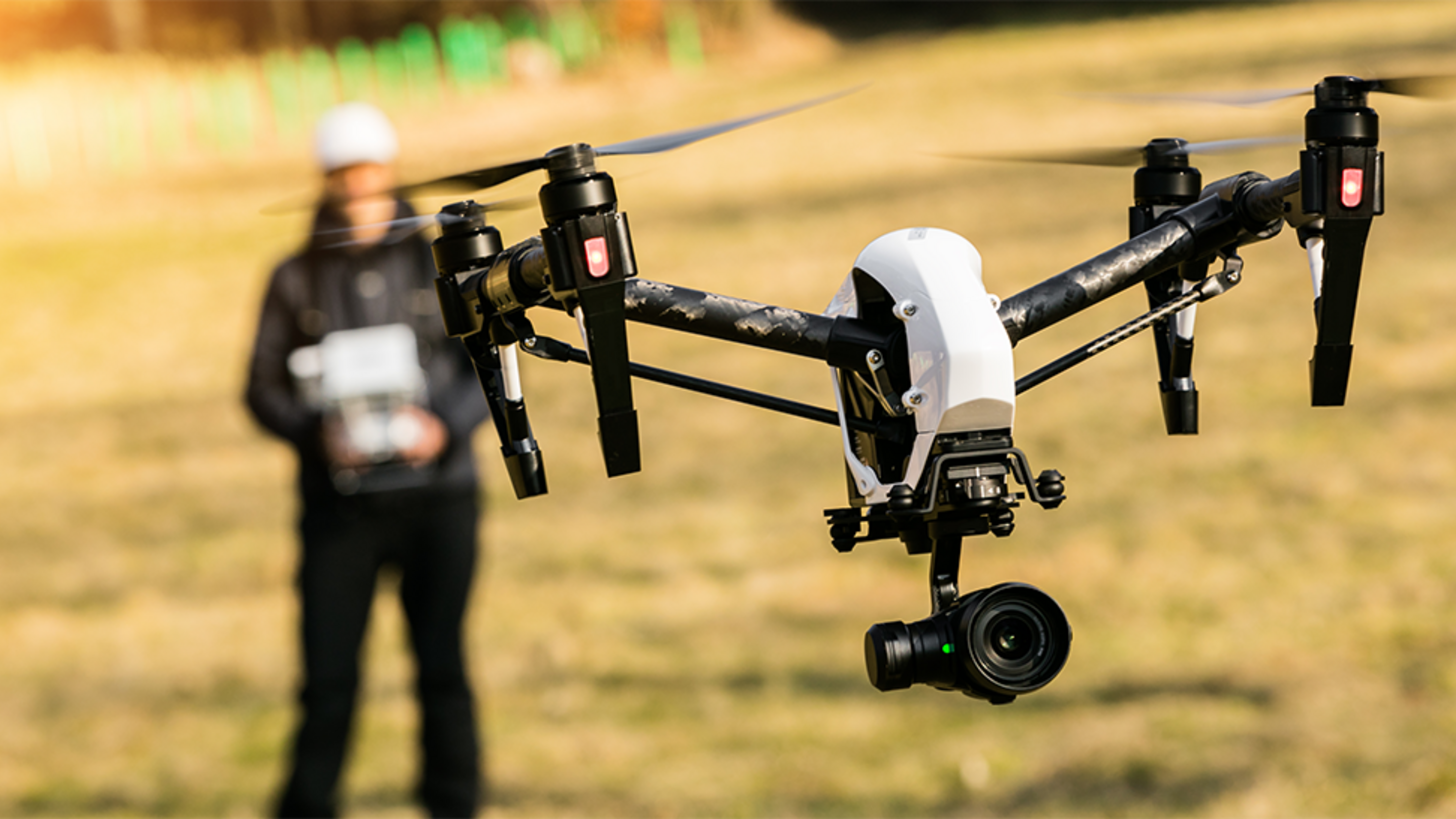 Sclerotinia Stem Rot | CropWatch | Nebraska