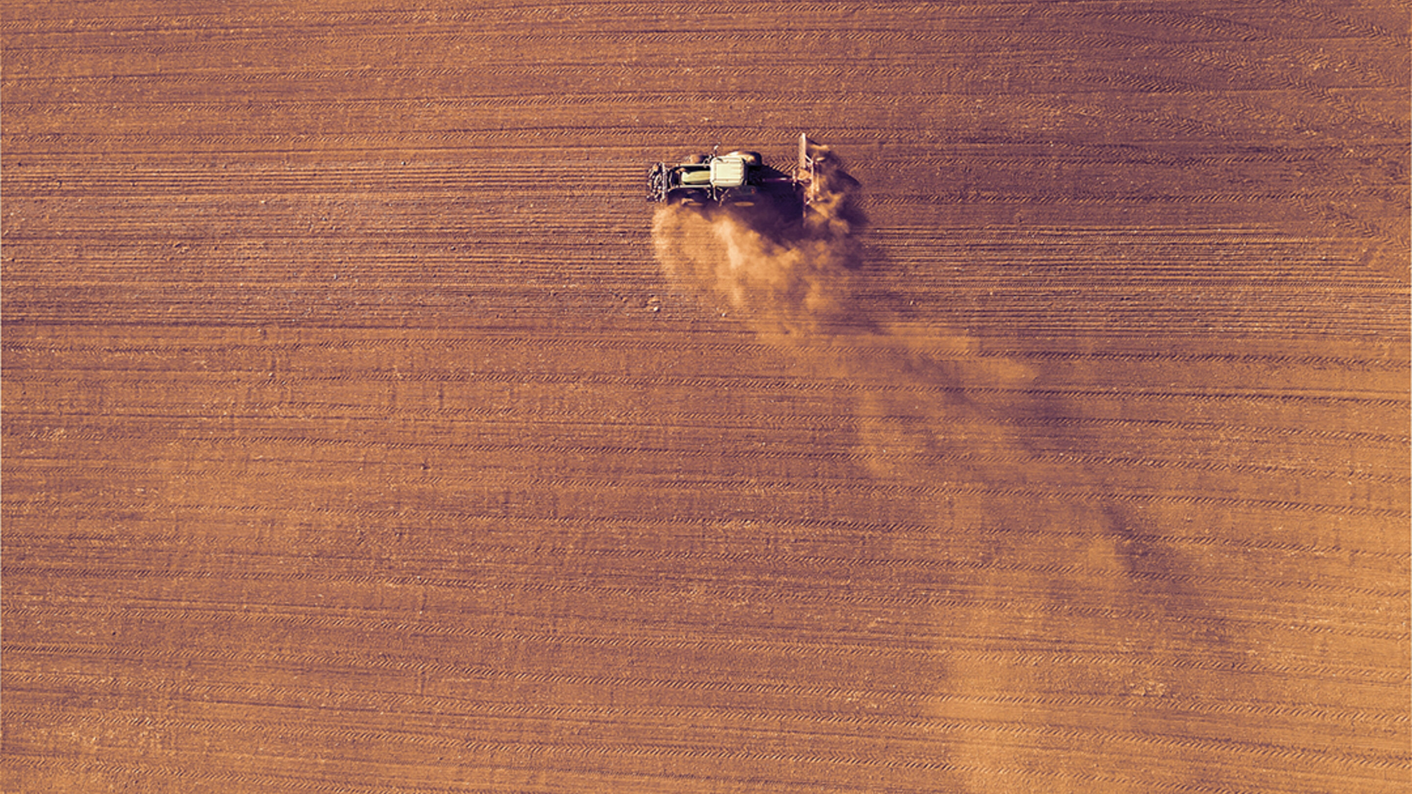 Nebraska 2024 Annual Crop Production Summary | CropWatch | Nebraska