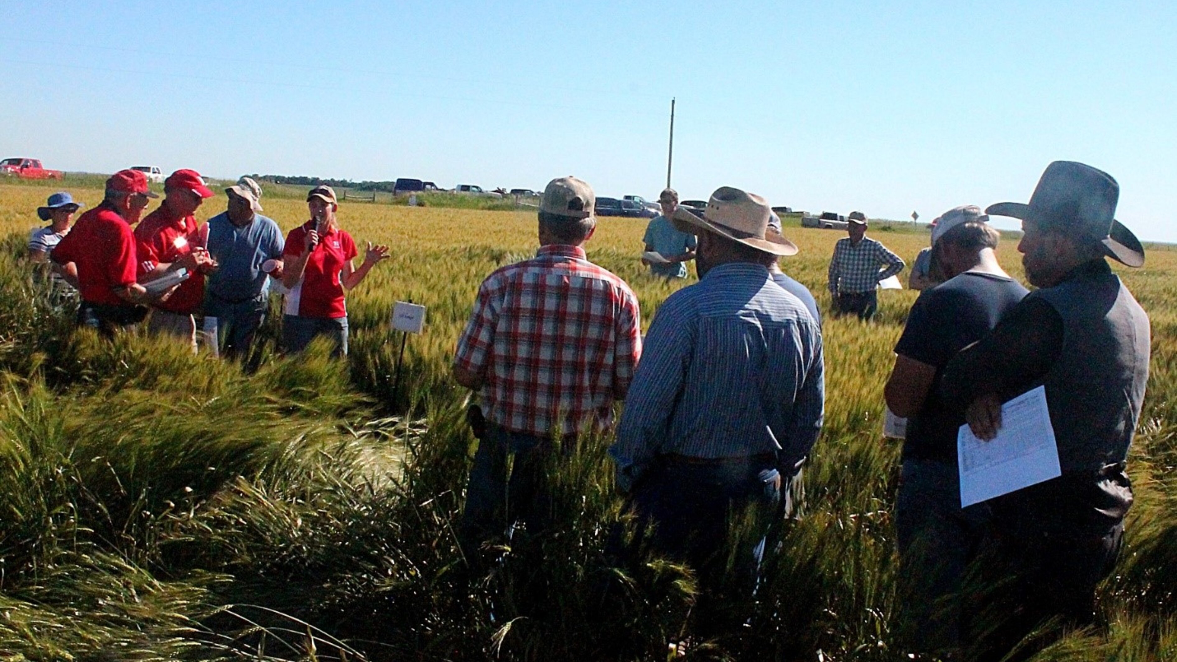 Selecting Winter Wheat Varieties - Best for Your Cropping System ...