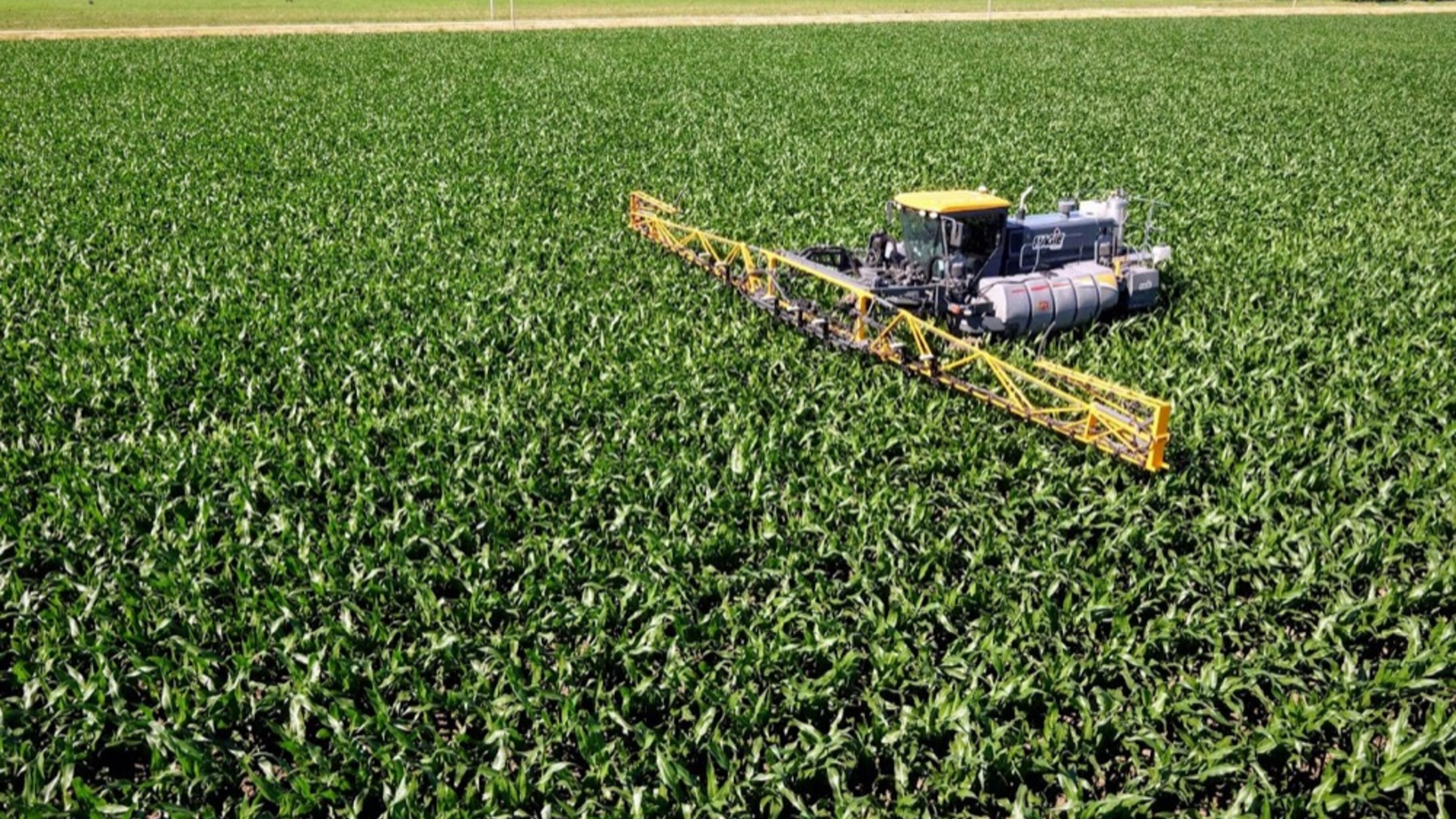 Precision Nitrogen Management On-Farm Research Project | CropWatch ...