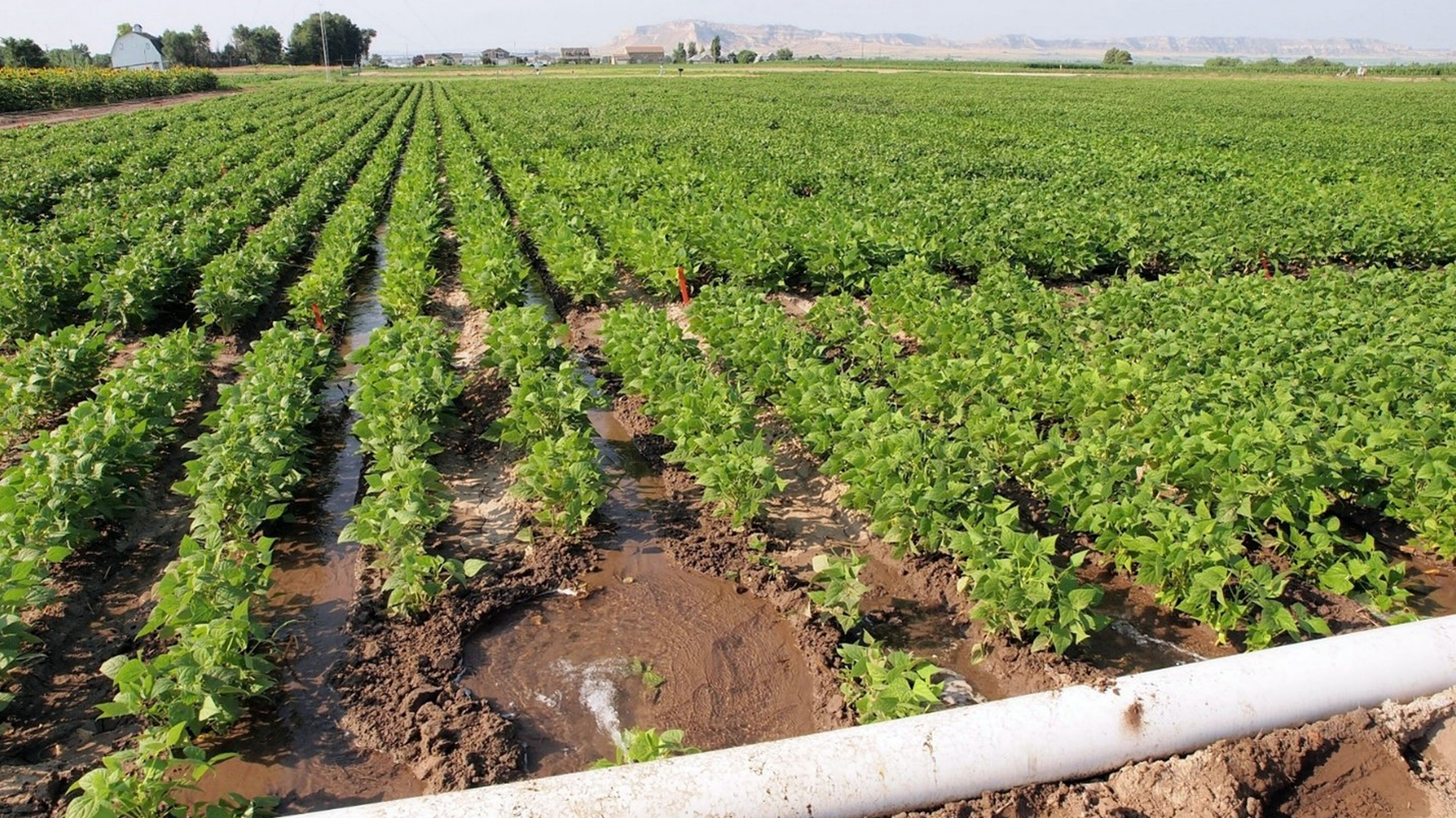 Water Law 101: Part 5, More Groundwater — Wells | CropWatch | Nebraska