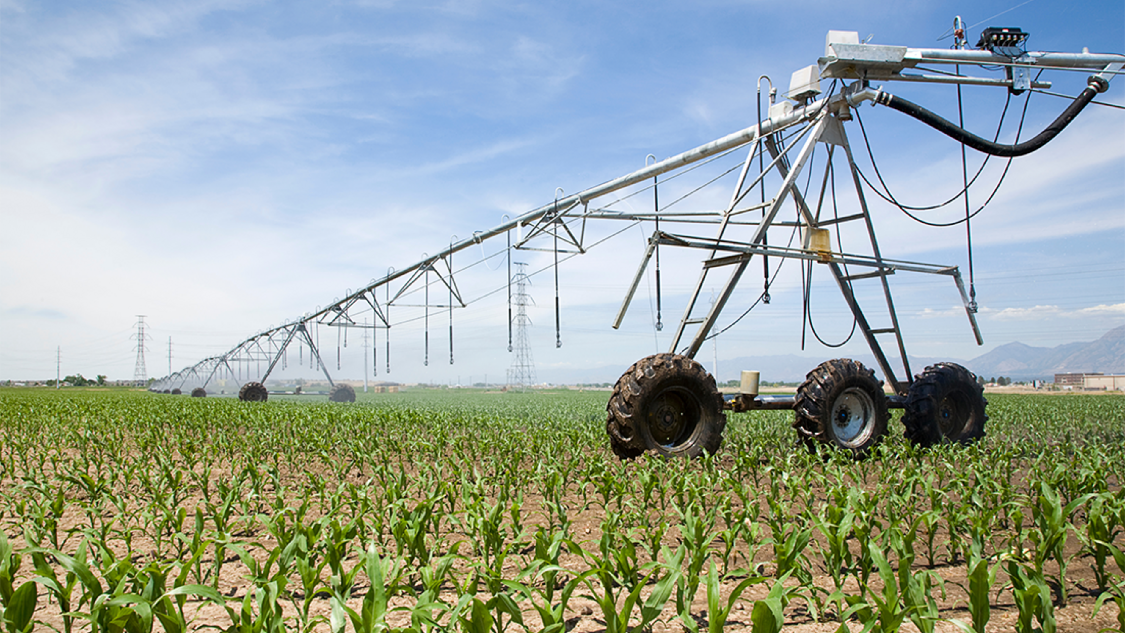 Don’t Lose Out on Free Nitrogen from Irrigation Water | CropWatch ...