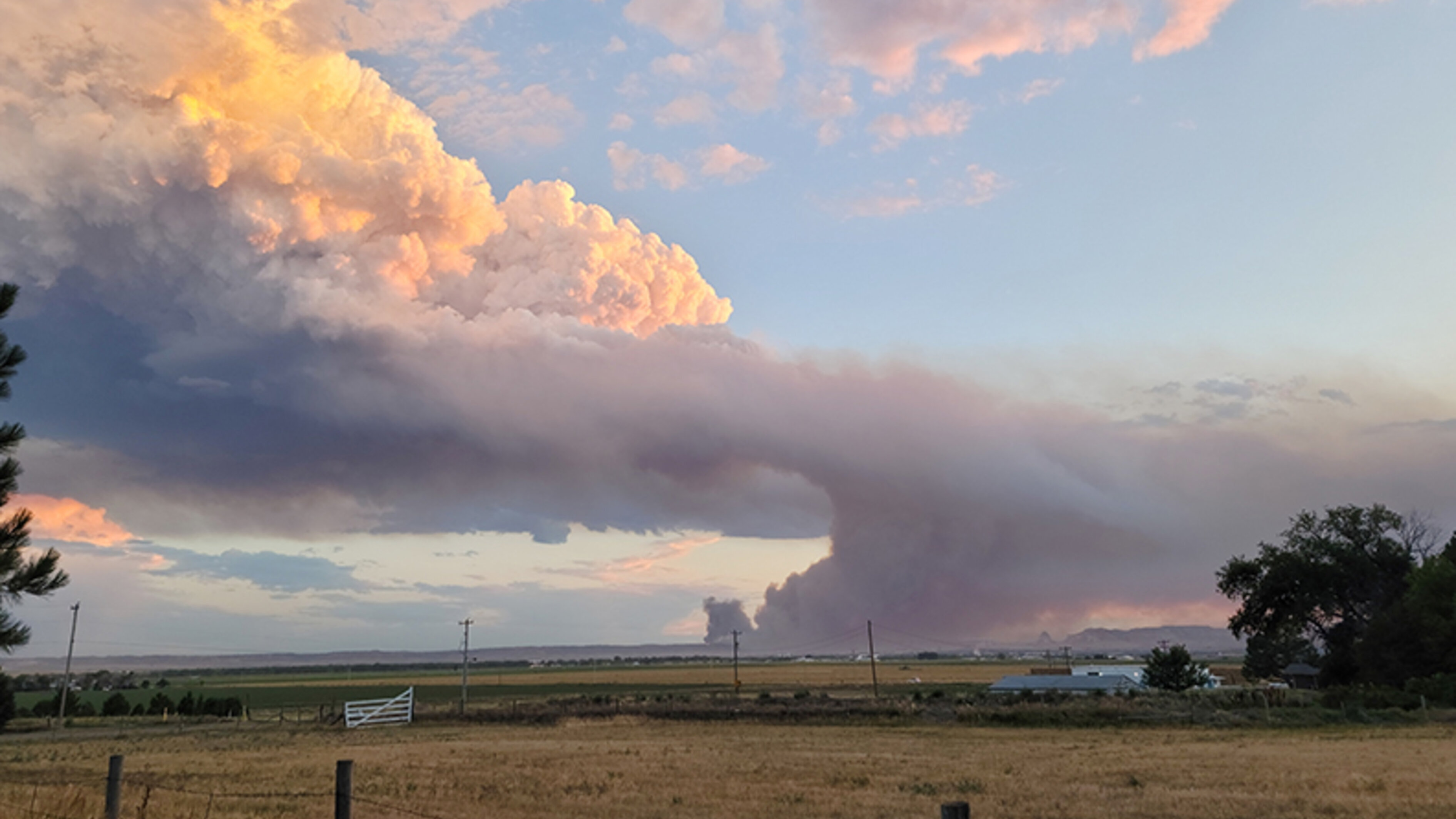 Wildfire Recovery Field Tour Scheduled for June 9 | CropWatch | Nebraska