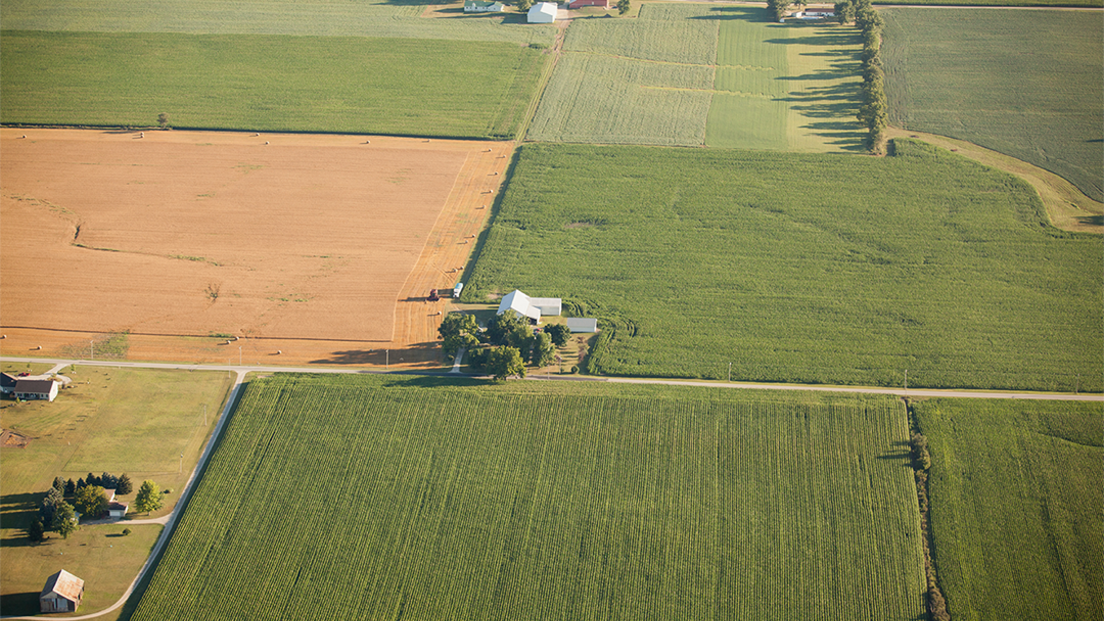 USDA Reminds Producers to File Crop Acreage Reports by July 17, Use New ...