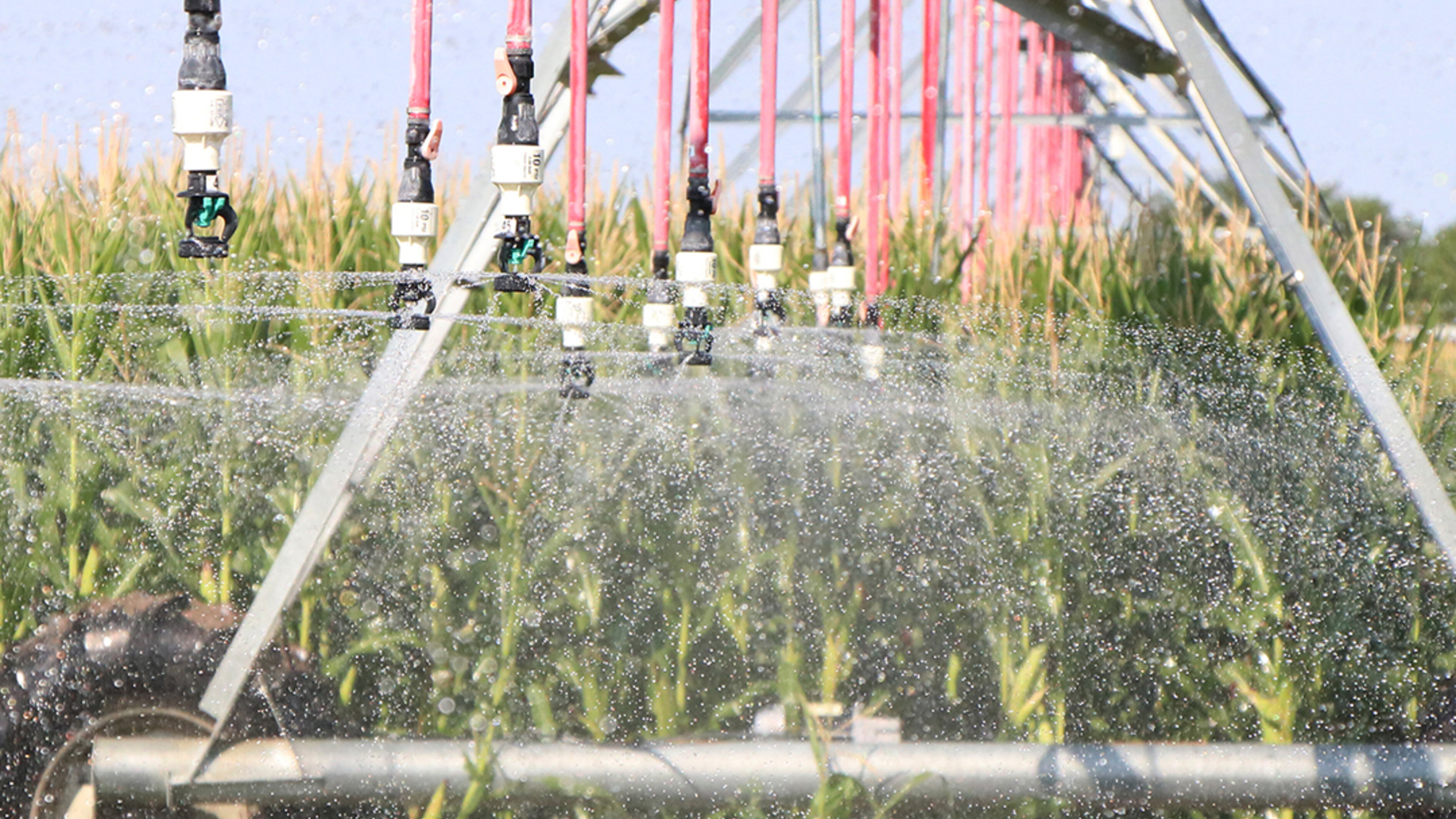 Irrigation Season to End in September | CropWatch | Nebraska
