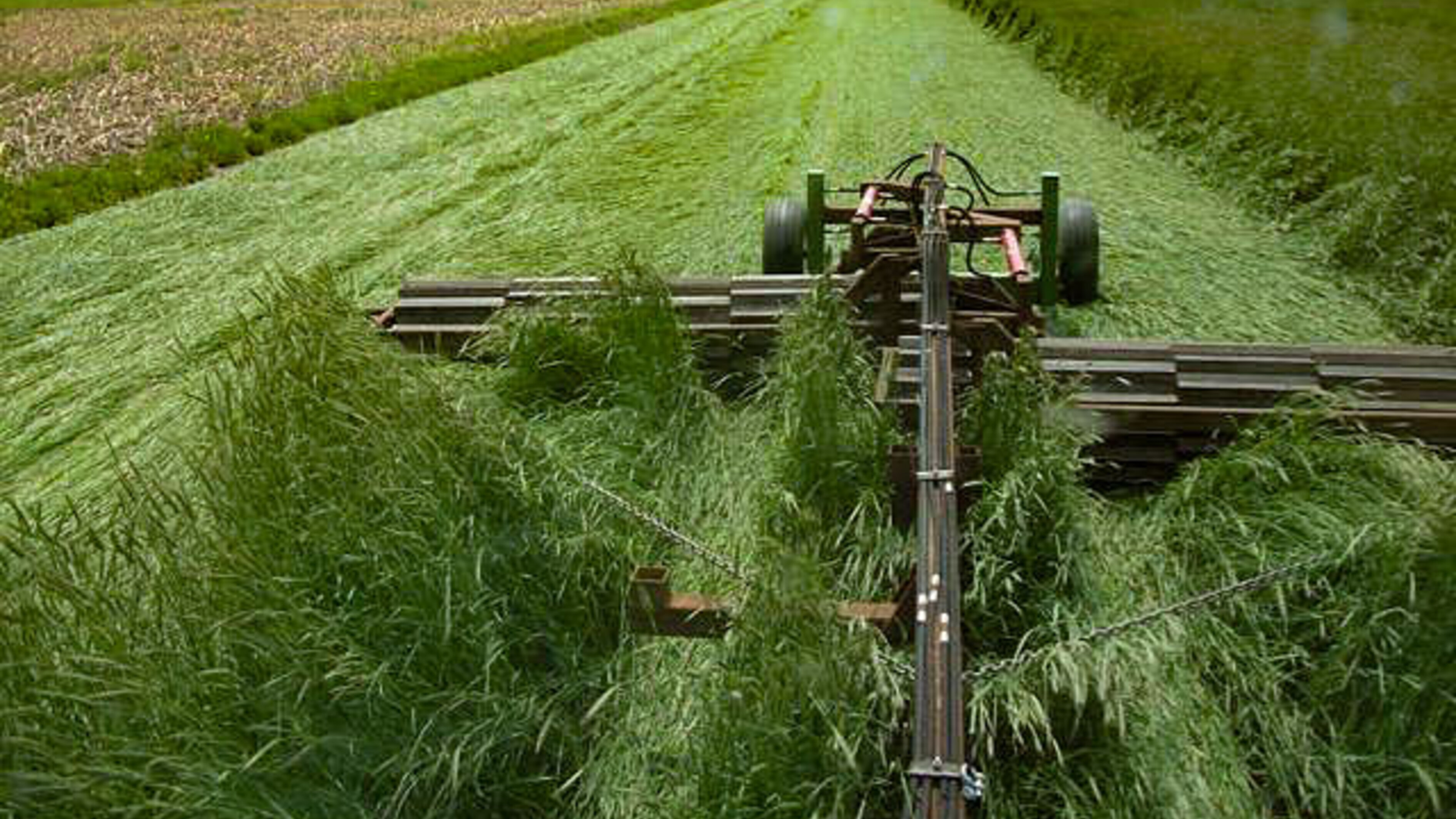 Farmers Invited to Attend Roller Crimper Workshop June 5 | CropWatch ...