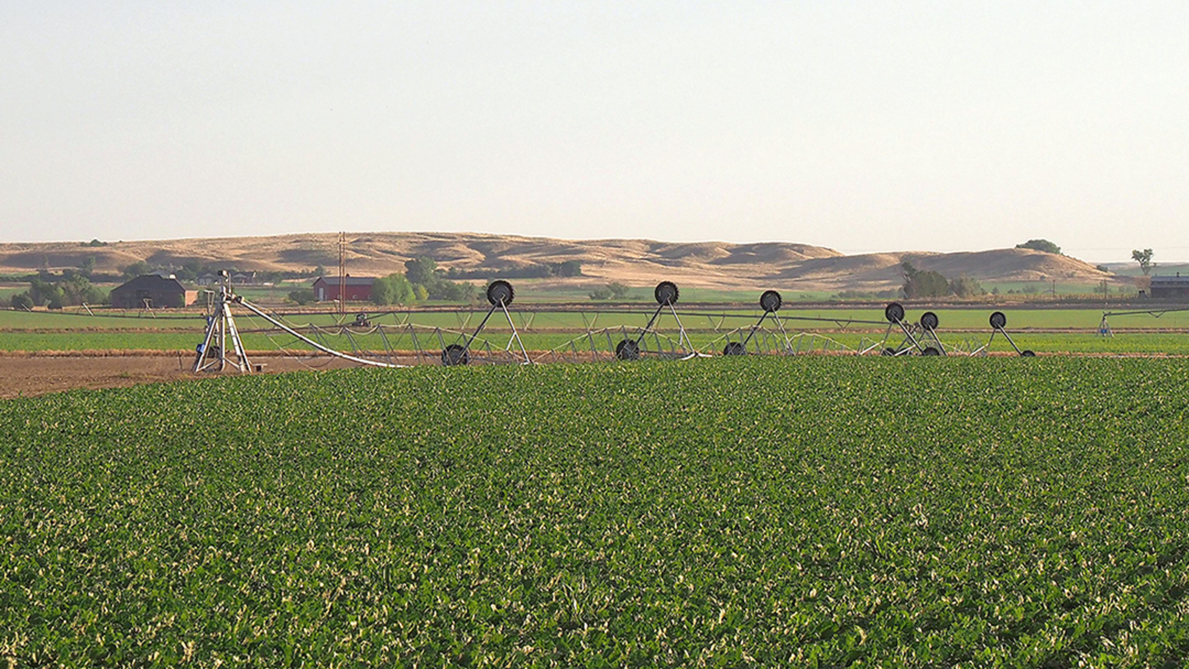 Severe Storms Damage Crops, Excessive Heat Will Drive Water Needs ...