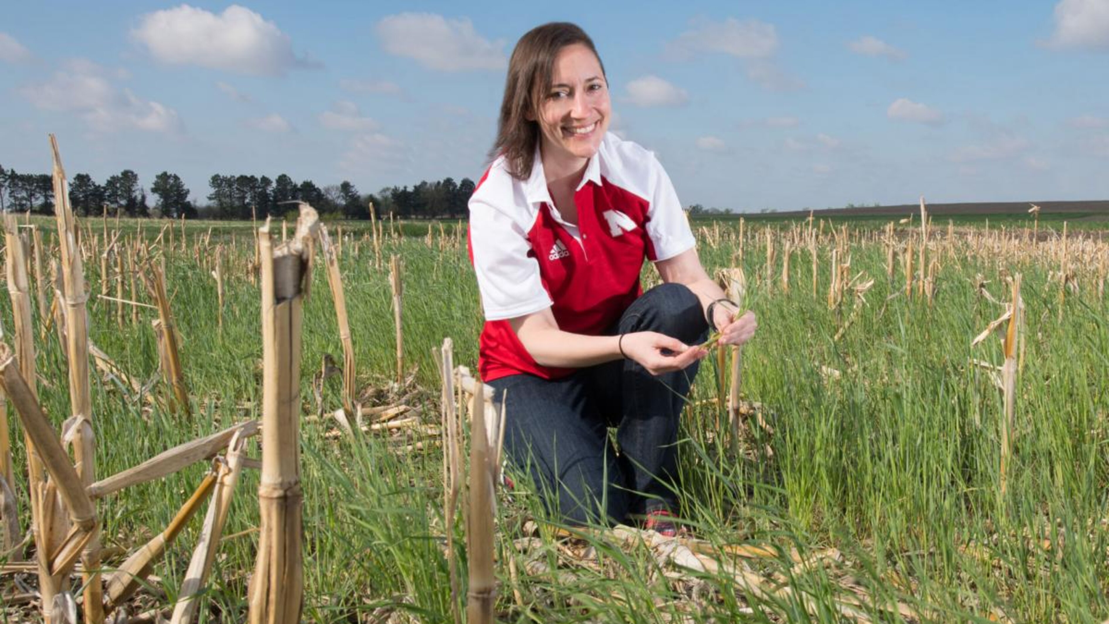 Cover Crop Research Team Receives Nebraska Environmental Trust Grant ...