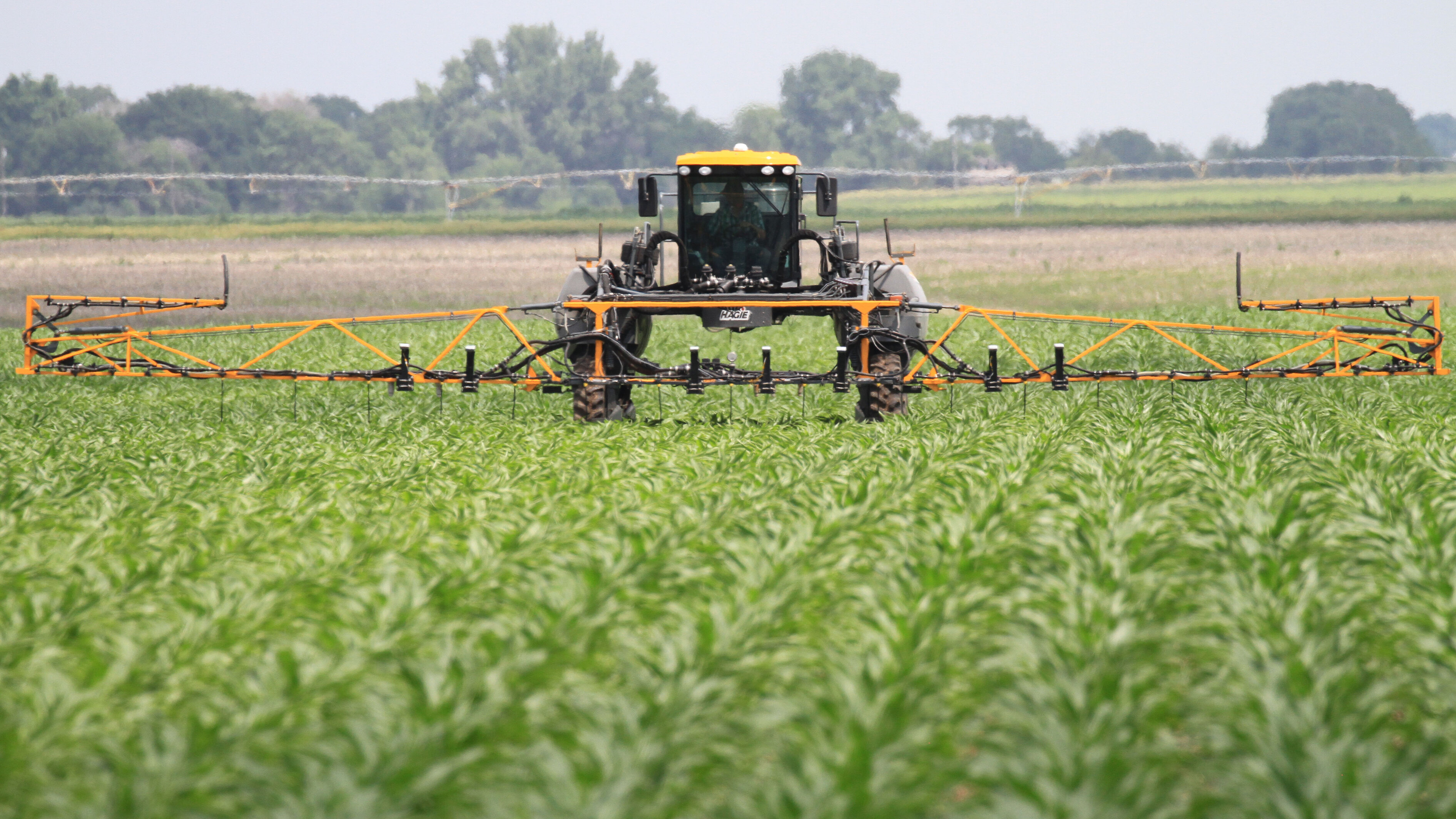 Does Your Corn Need Added Nitrogen? On-farm Research can Help Evaluate ...