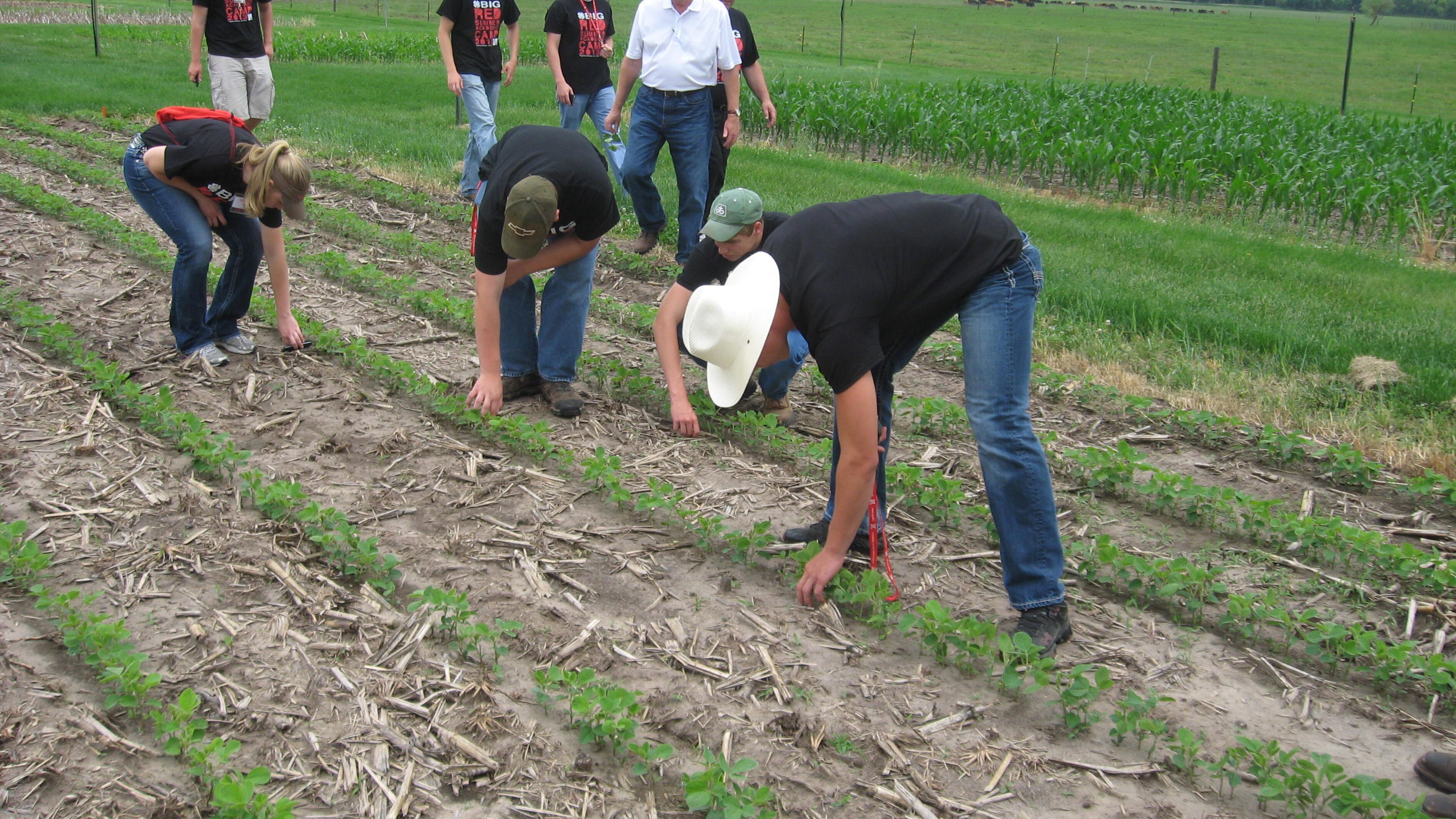 Youth Crop Scouting Competition | CropWatch | Nebraska
