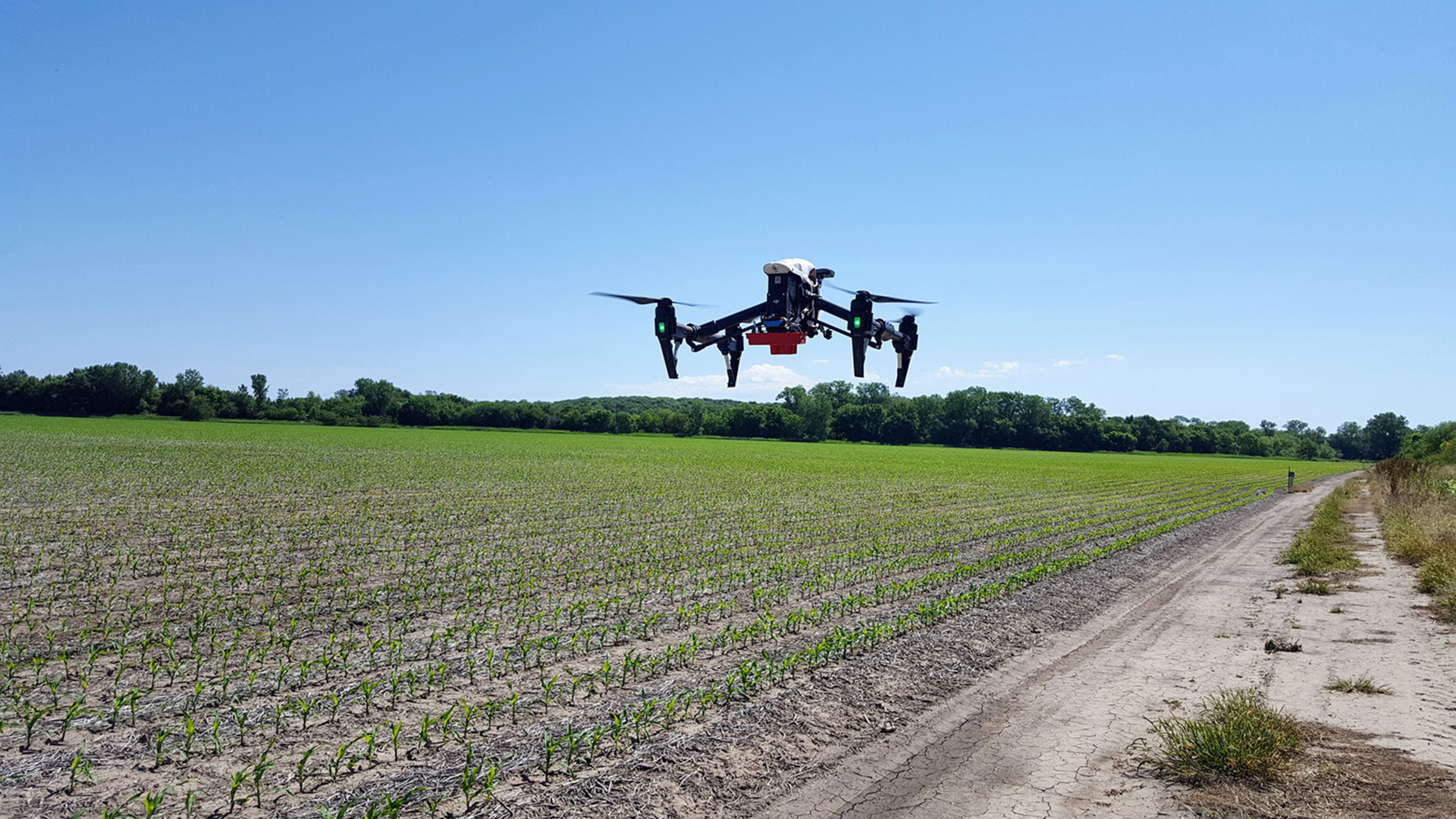 Using Drones for Early Season Stand Assessment, Weed Scouting ...