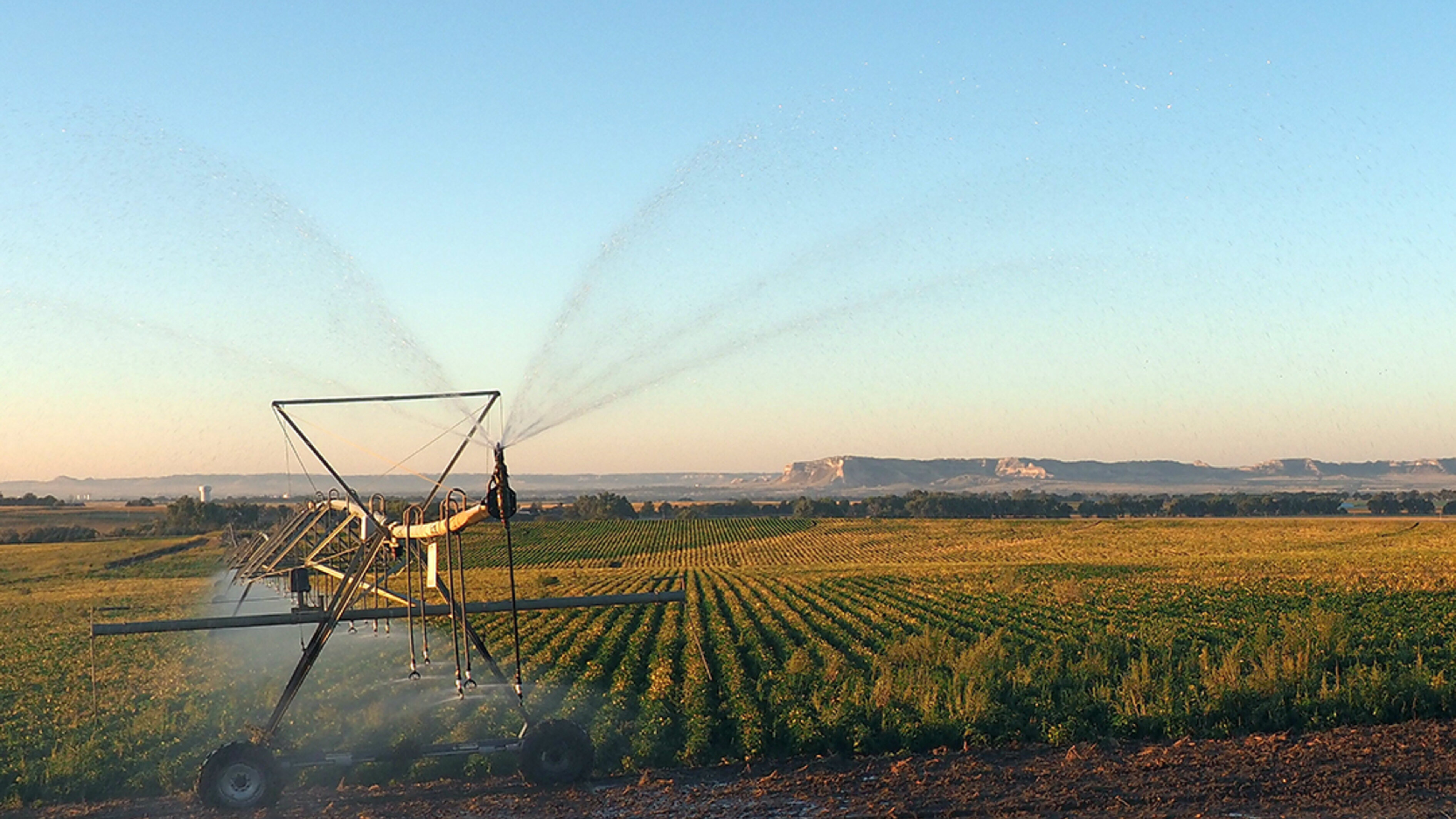 2023 Irrigation and Water Management Data Now Available | CropWatch ...