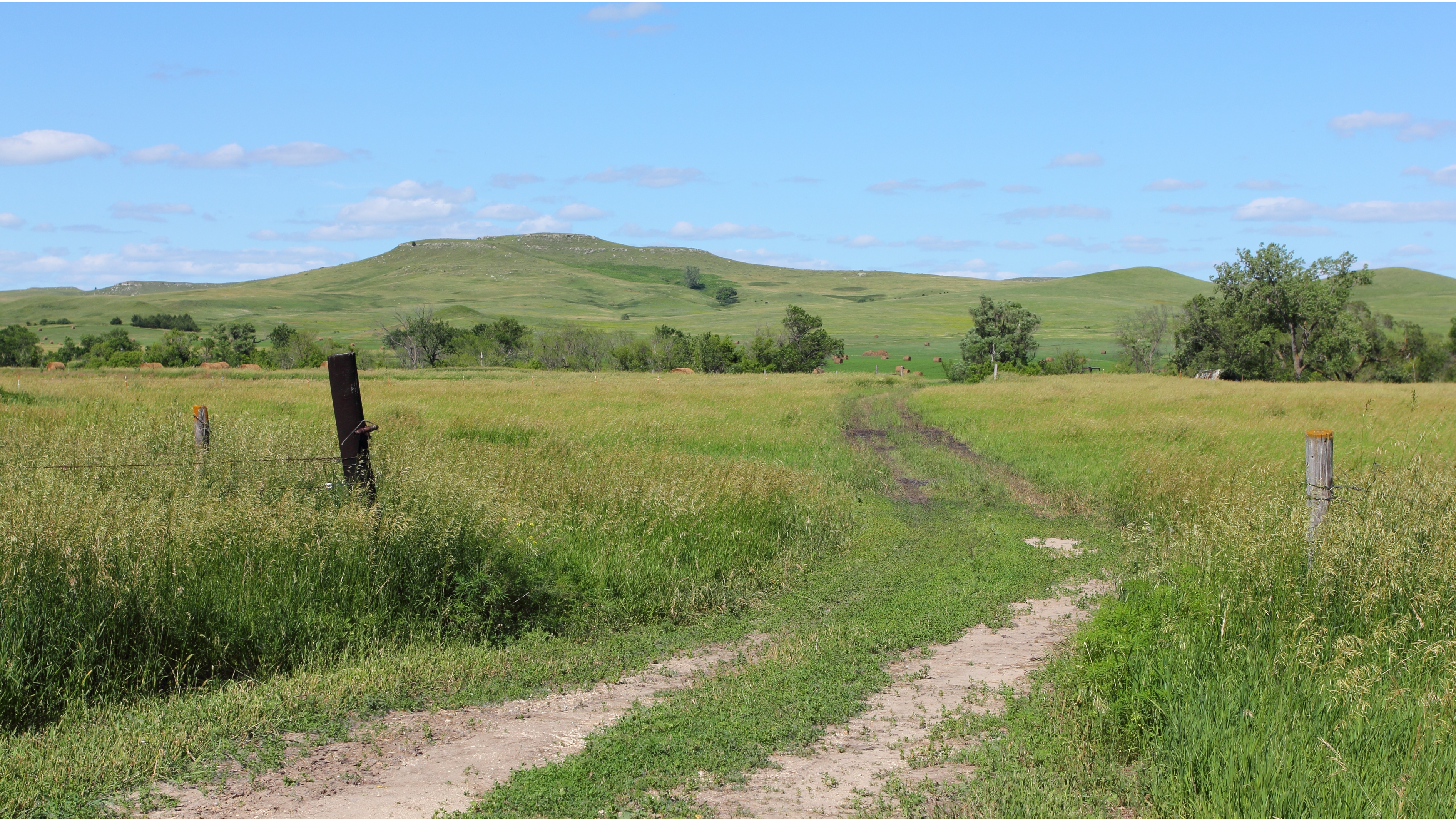 Crops | CropWatch | Nebraska