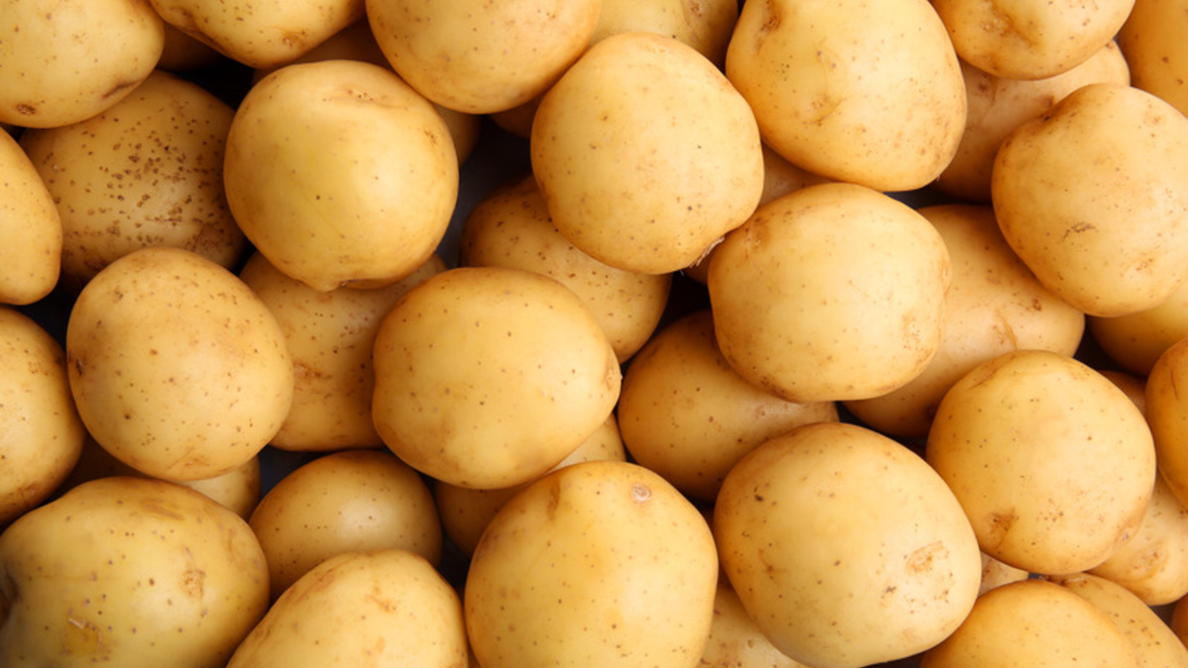 2023 Nebraska Potato Stocks for April | CropWatch | Nebraska